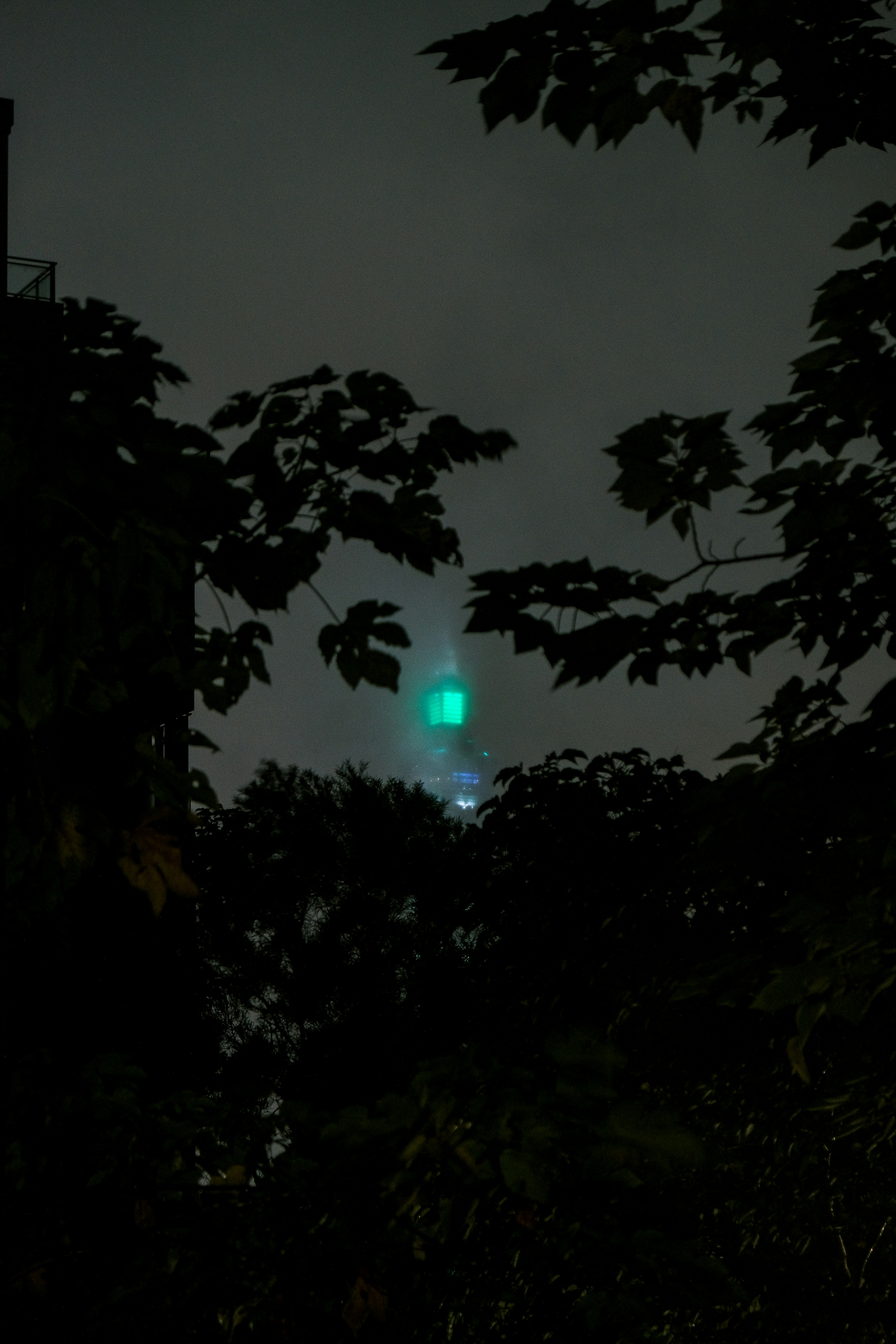 Neon Beacon Through the Night Orchard