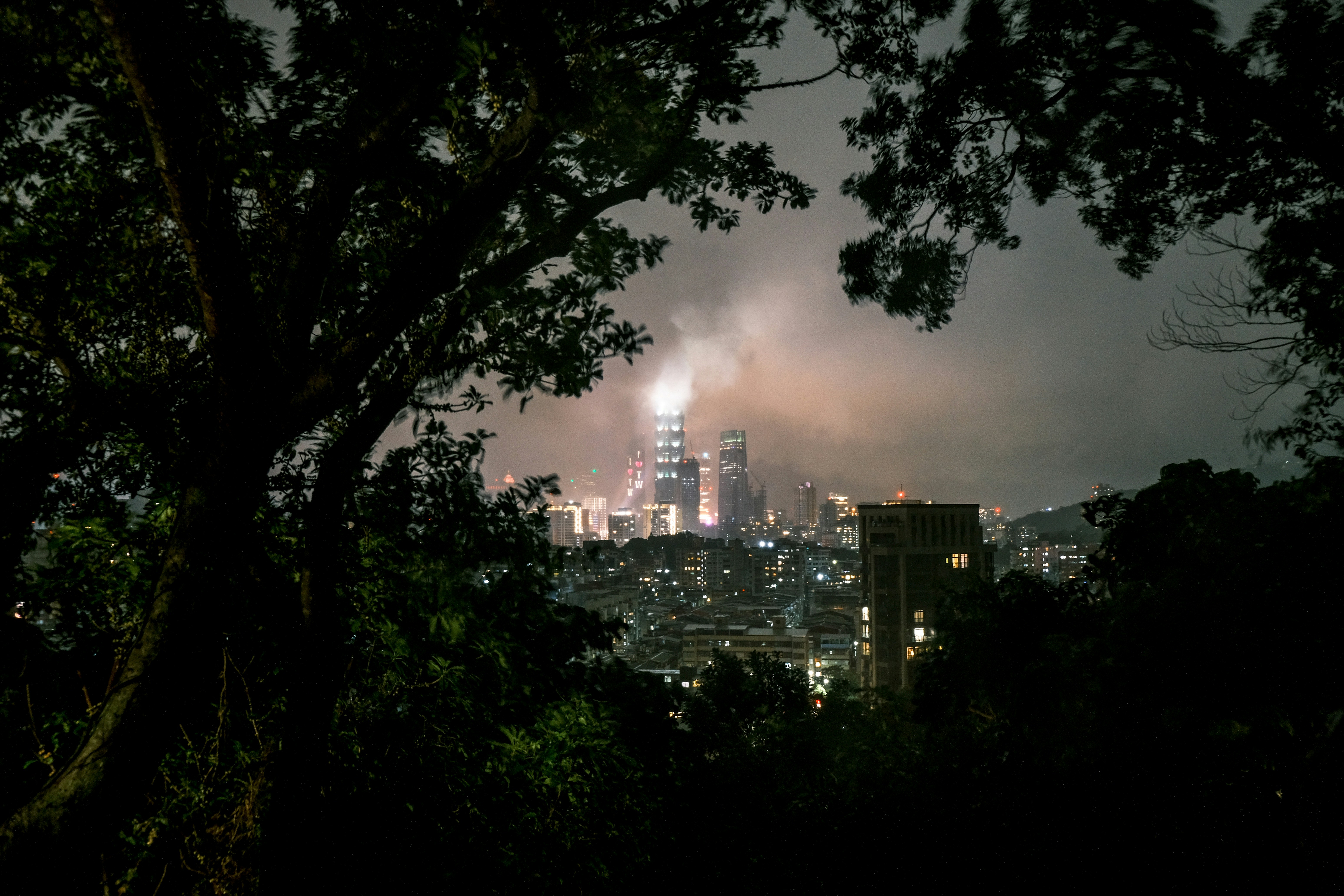 City Lights Rising Through the Silent Canopy