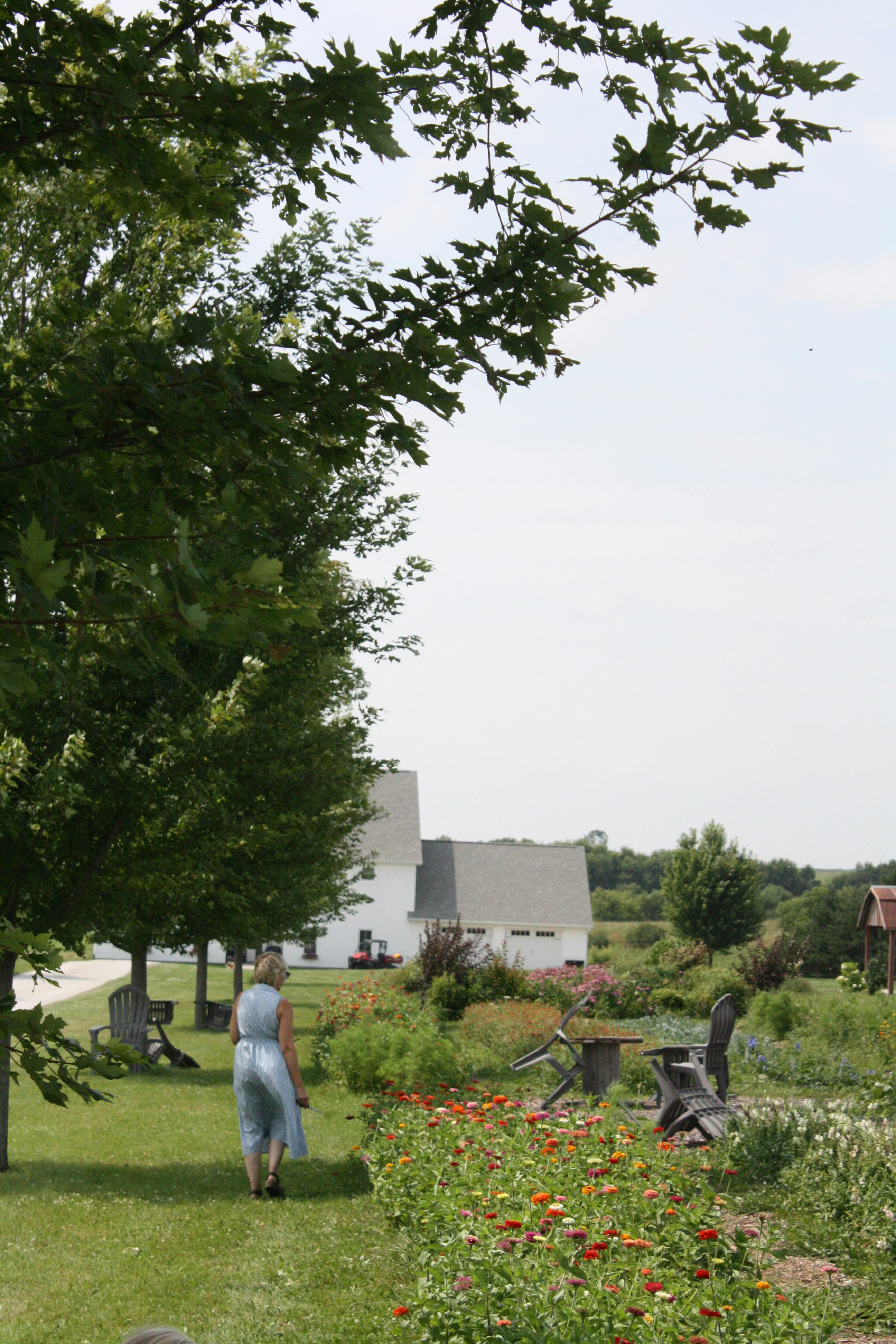 Photo by L S with Canon EOS 1000D