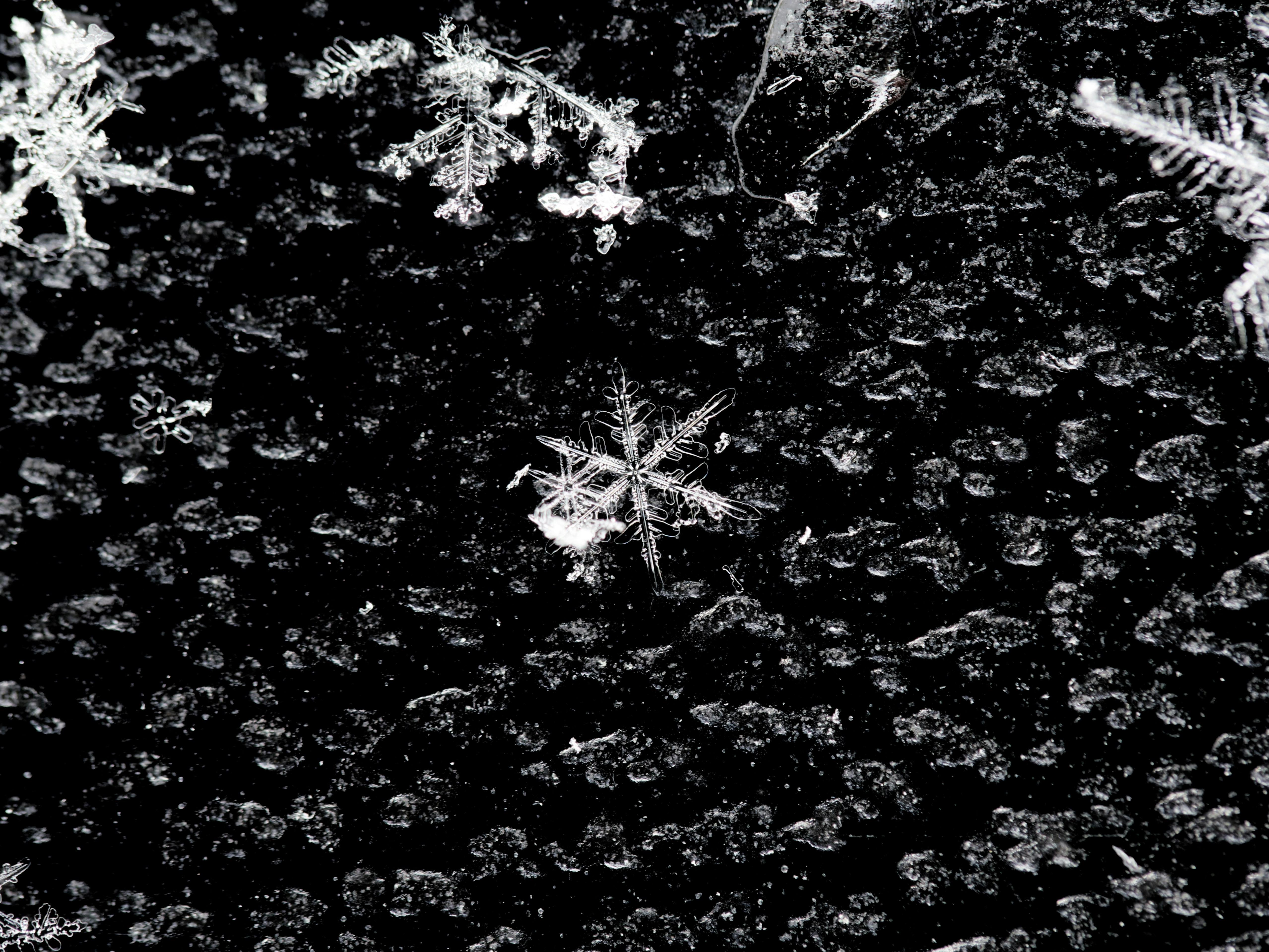 Centered Snowflake in a Sea of Darkness