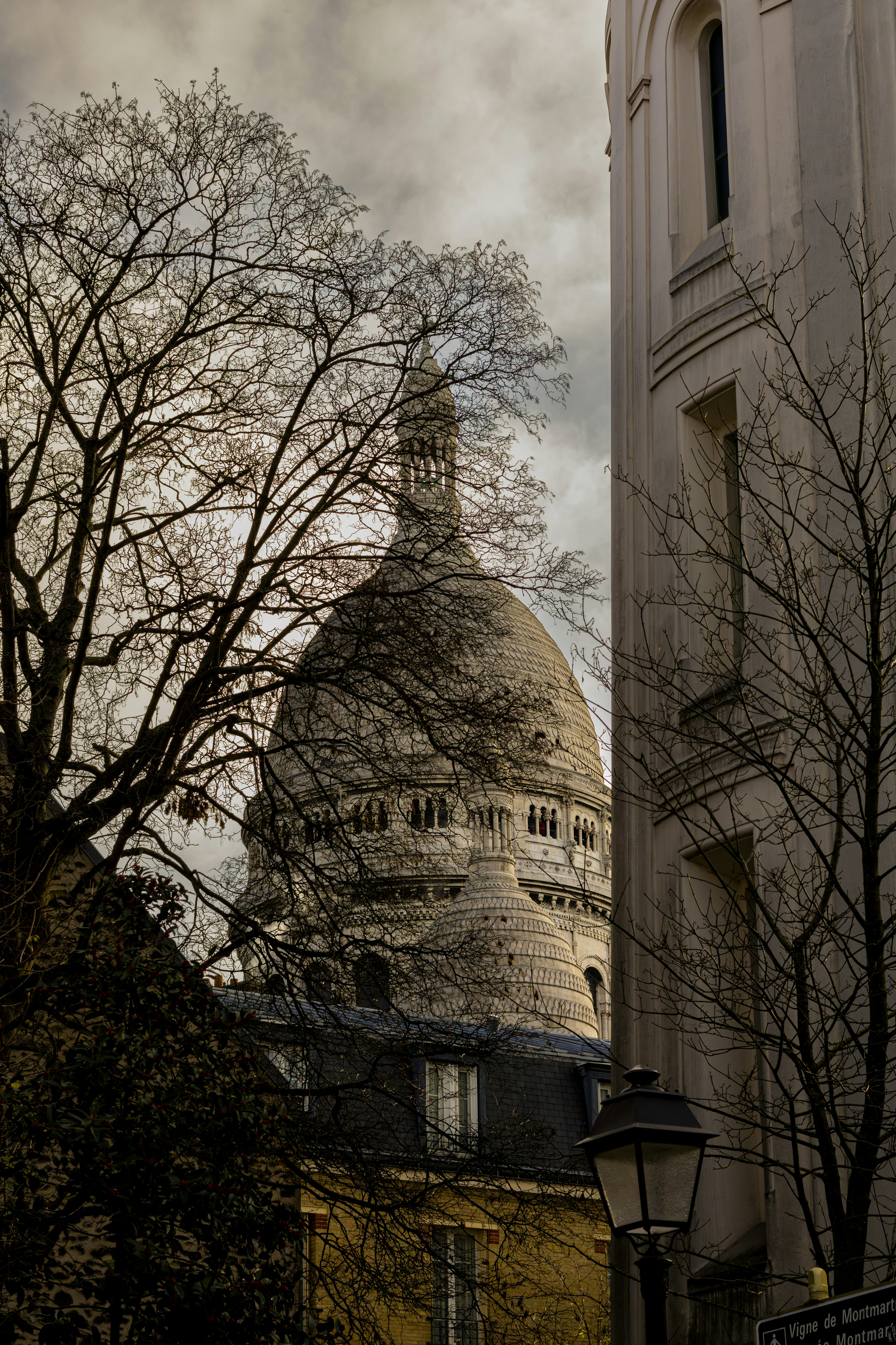 Domed Cathedral peeking between Parisian façades and bare trees