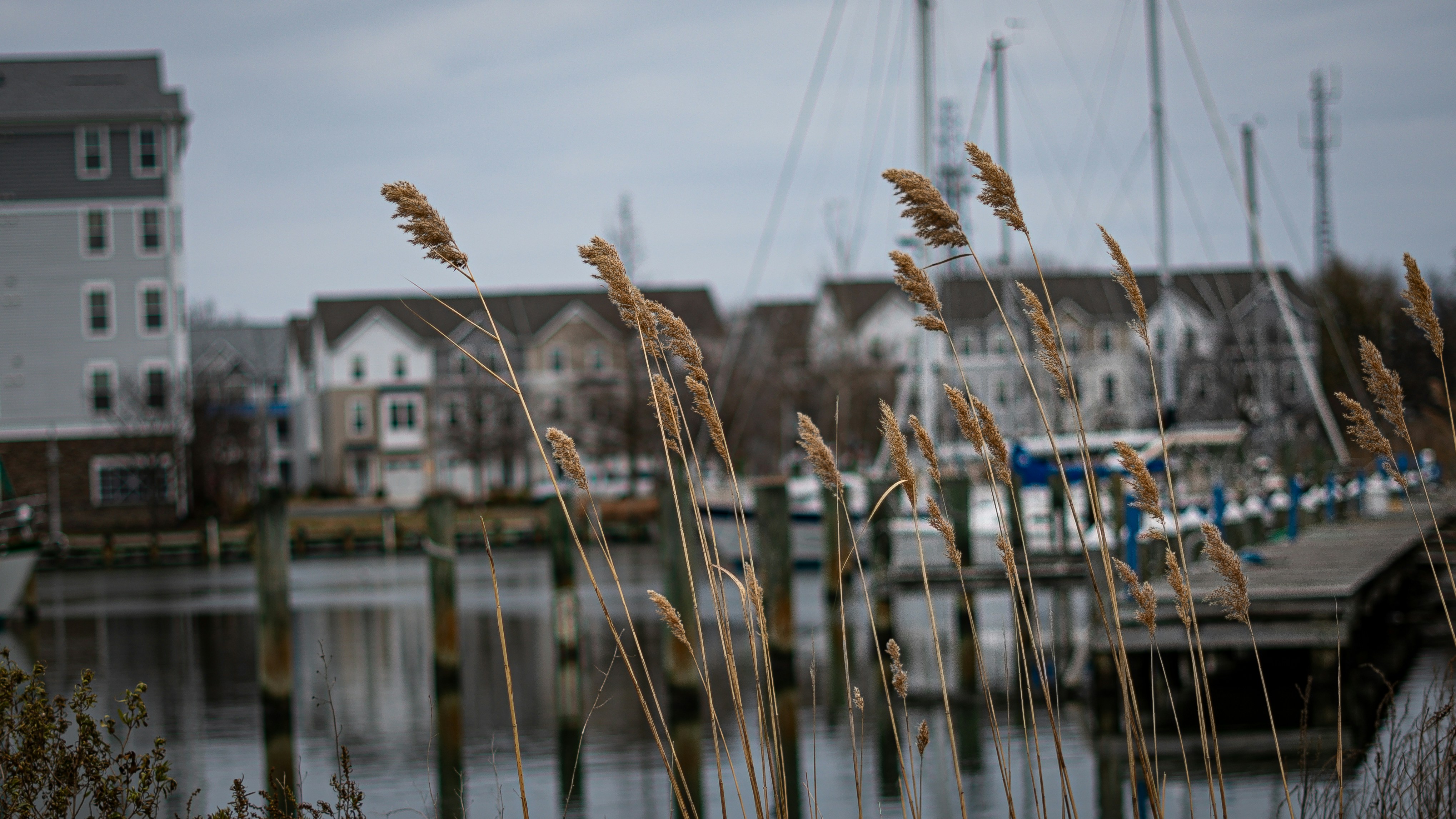 Photo by Vikram Singh with Sony Alpha 7 IV