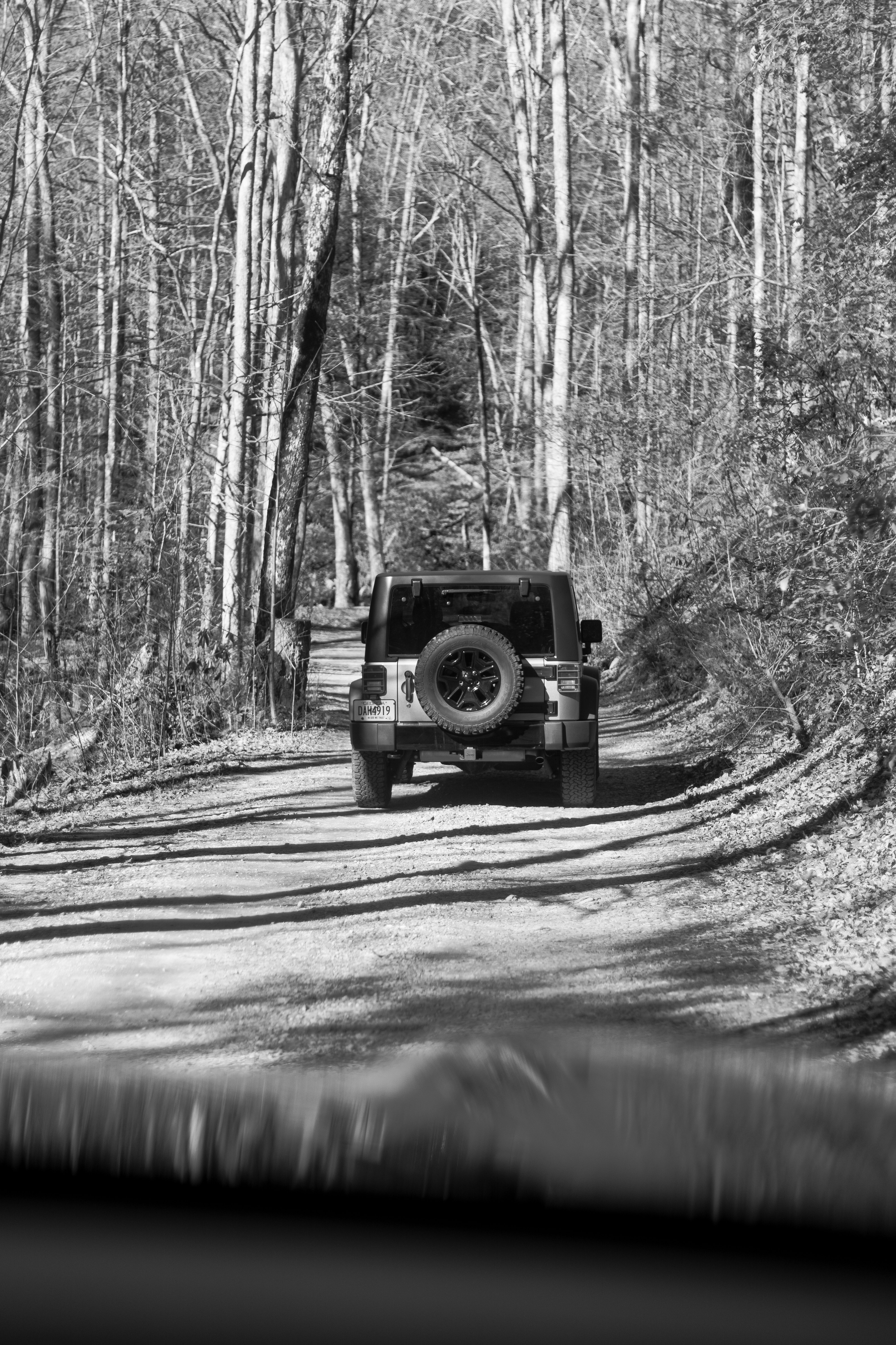 Trailbound: Jeep Pushes Through a Quiet Forest Road