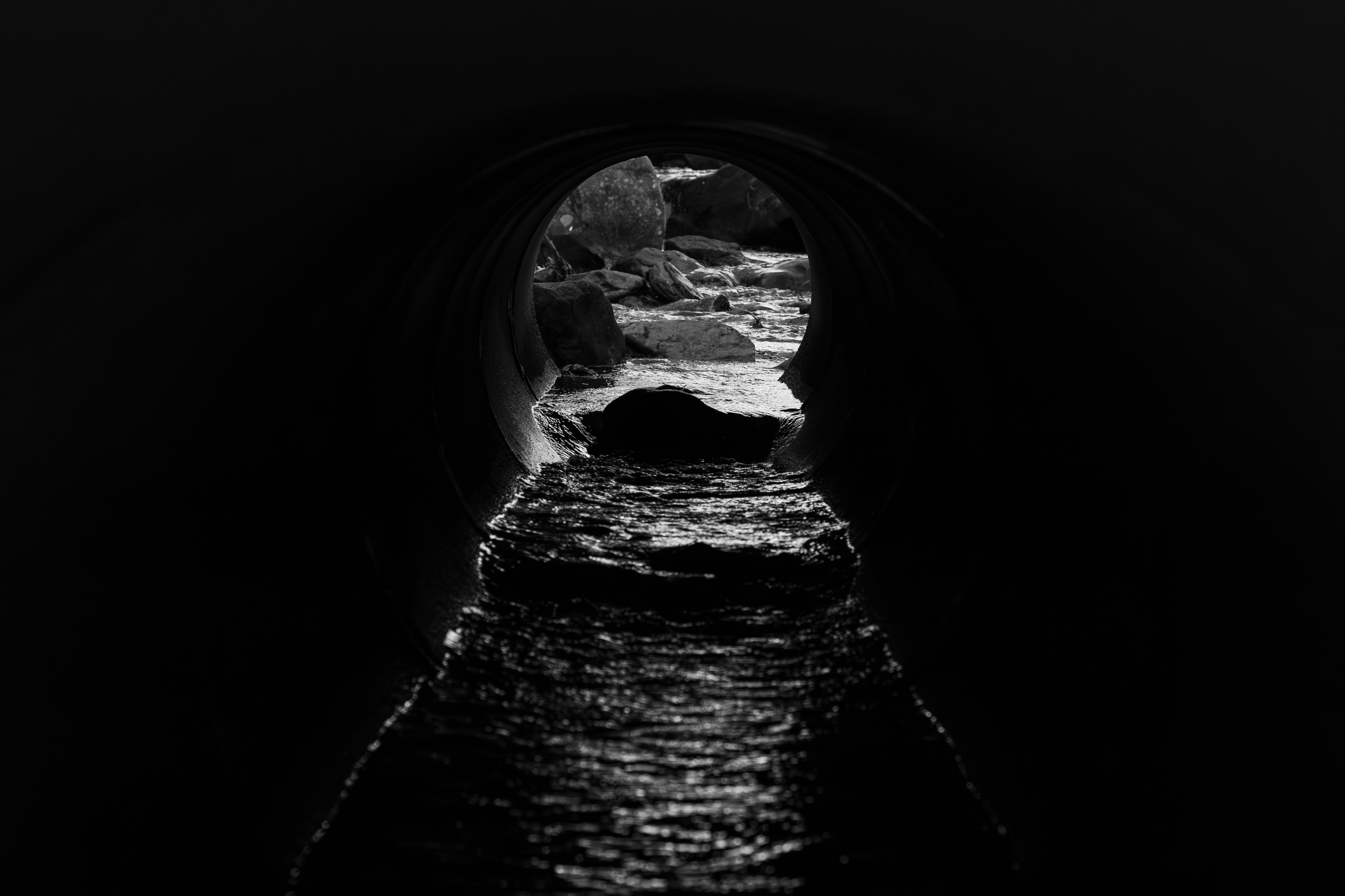 Light at the Exit: A Tide of Shadows in a Circular Channel