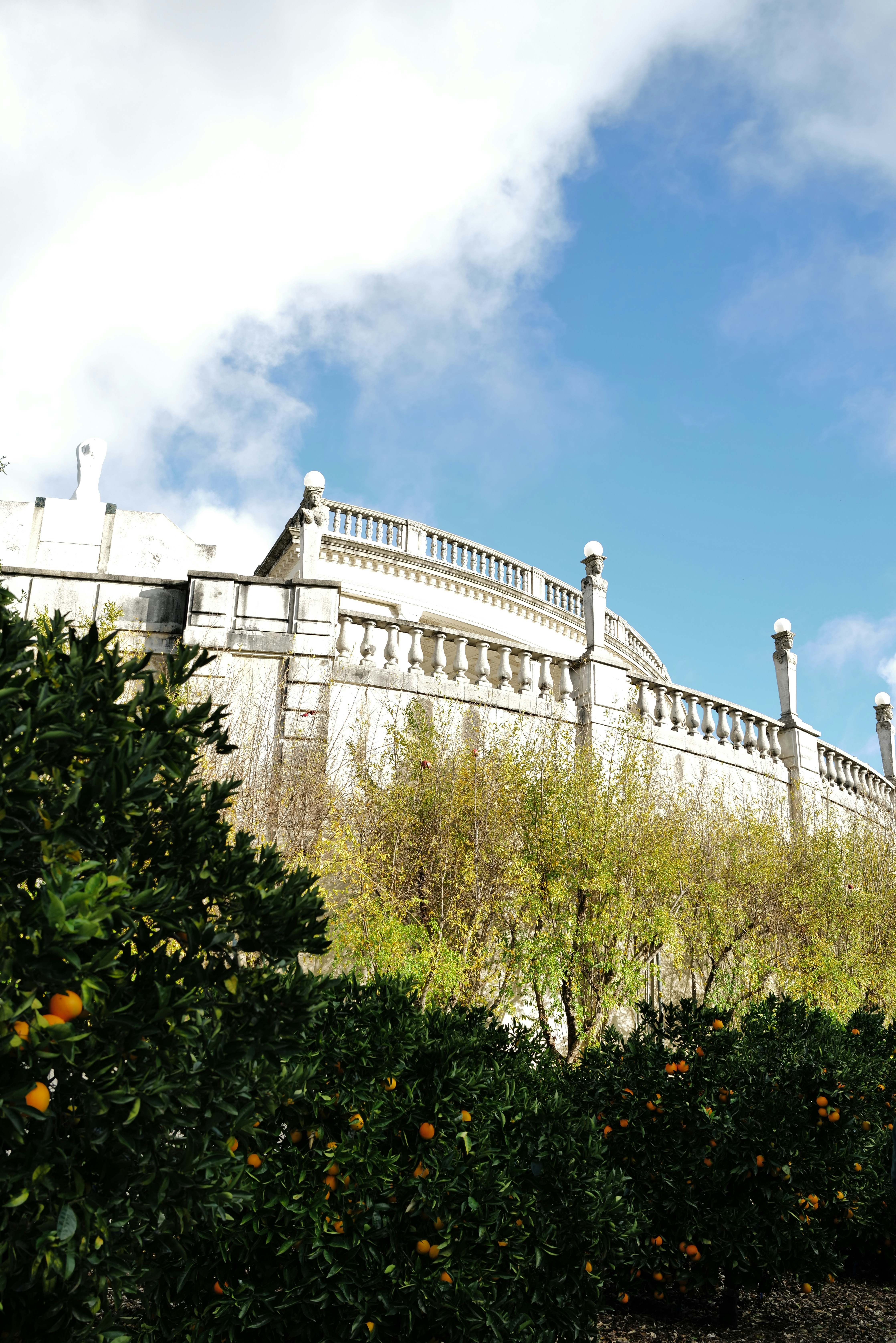 Ornate Terrace Above an Orange Orchard