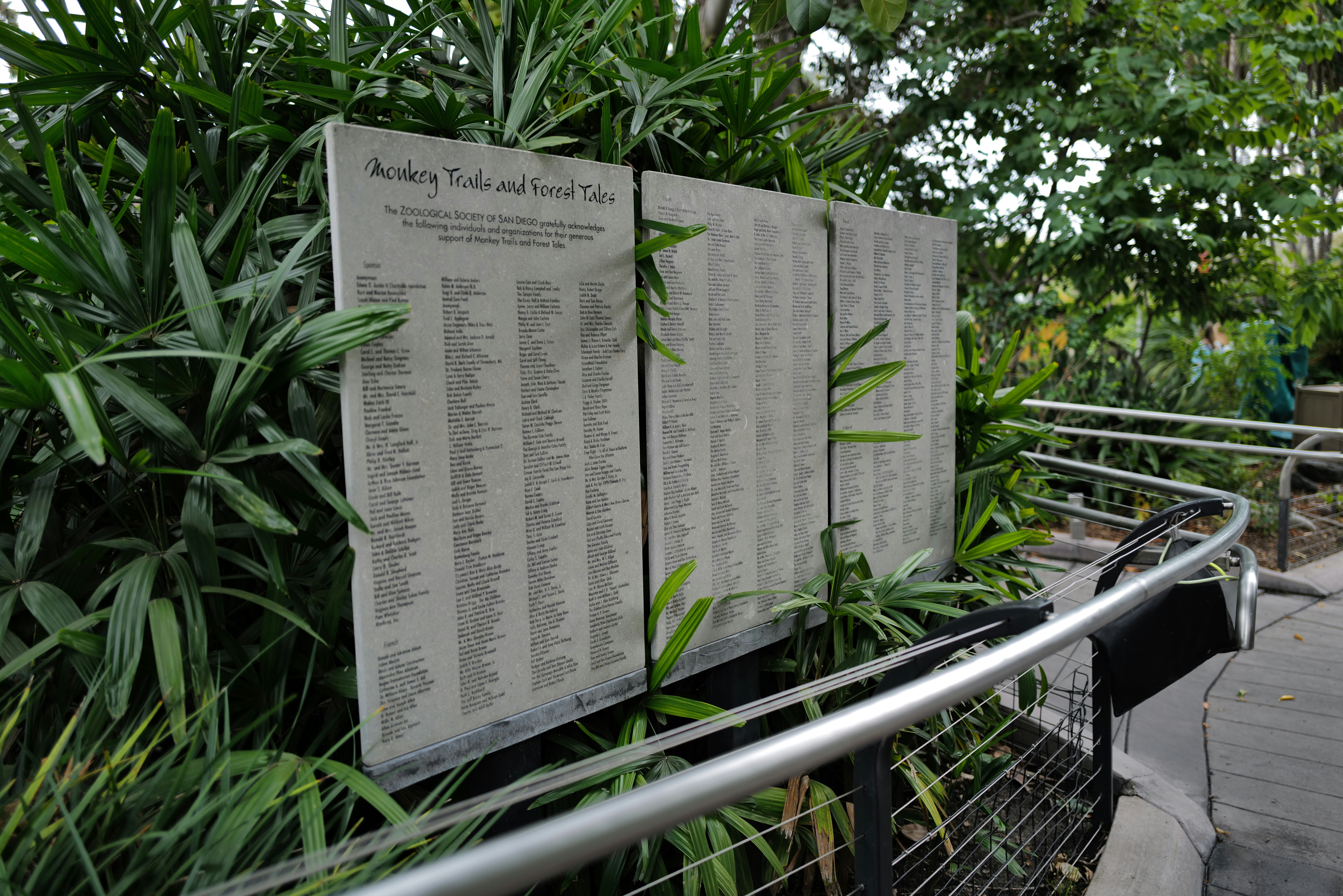 Leafy Memory: A Curated Plaque in a Garden Corridor