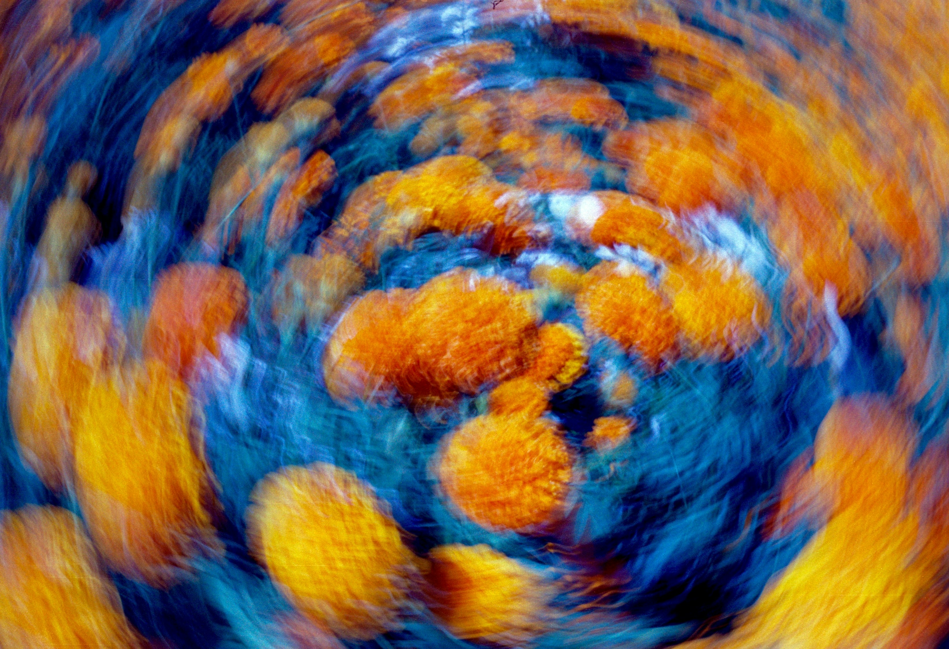 Abstract swirl of orange flowers and blue foliage photo – Free ...