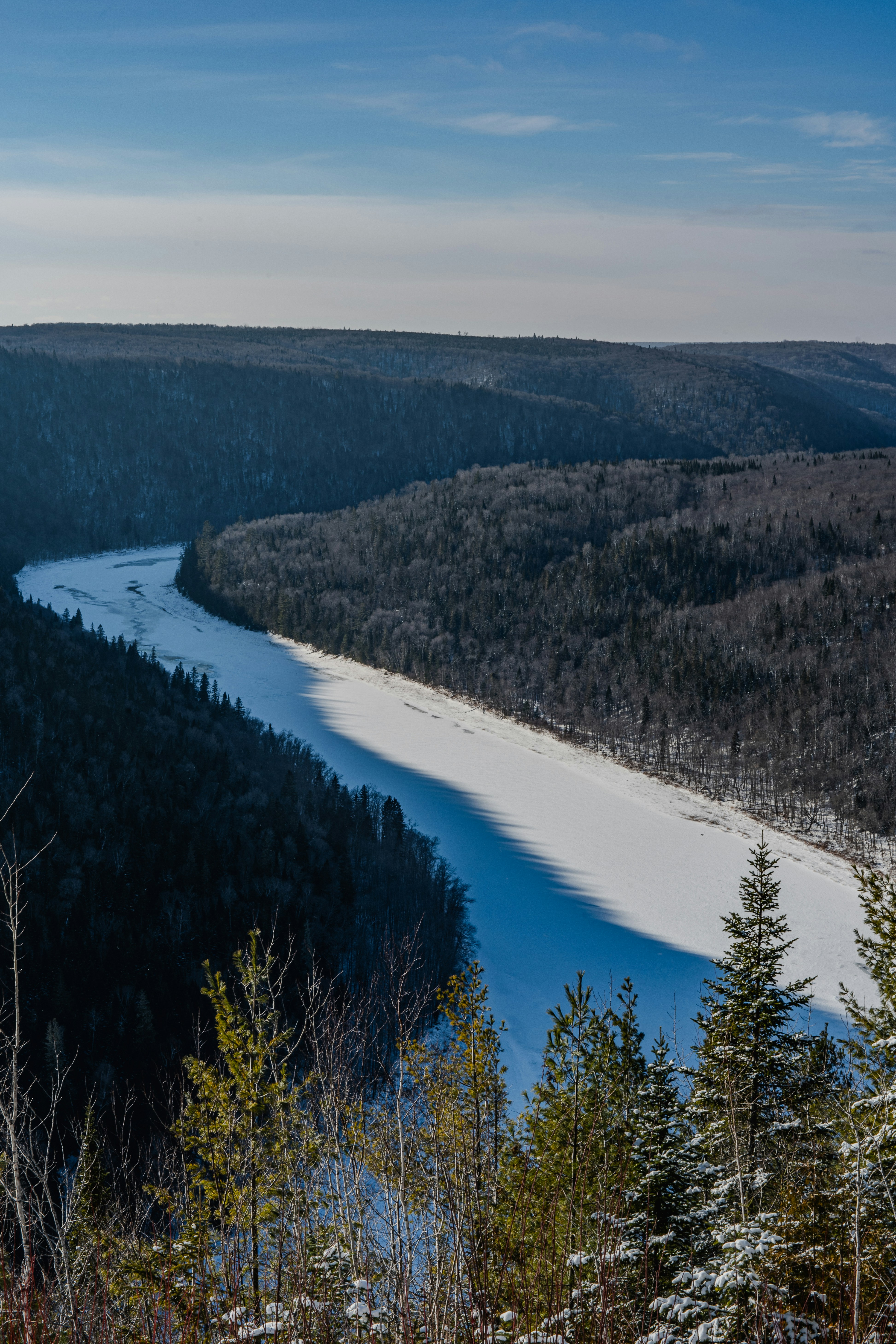 Winter Valley: A Ribbon of Ice Carves Through Snowbound Pines