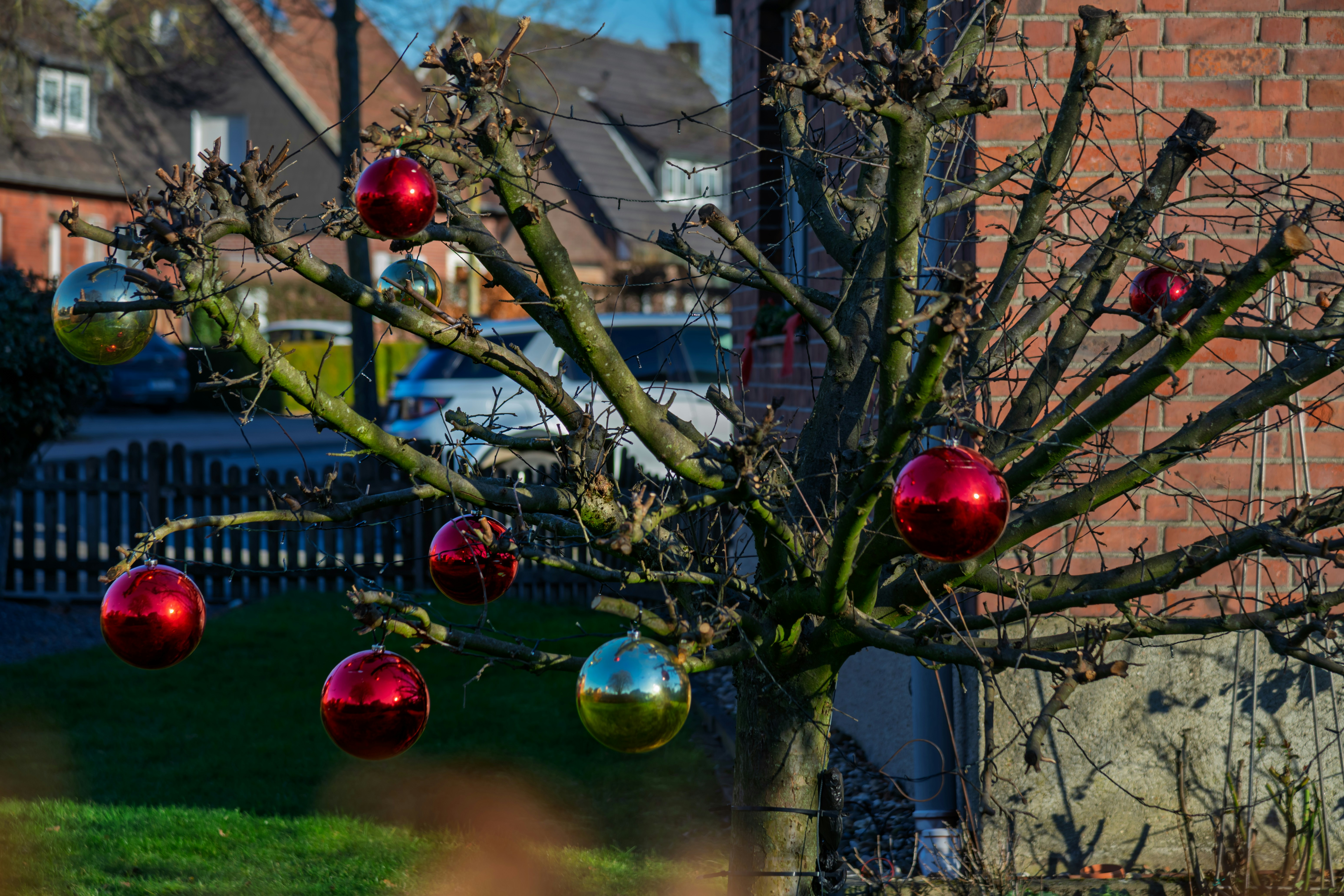 Holiday Orbs on a Pruned Stage