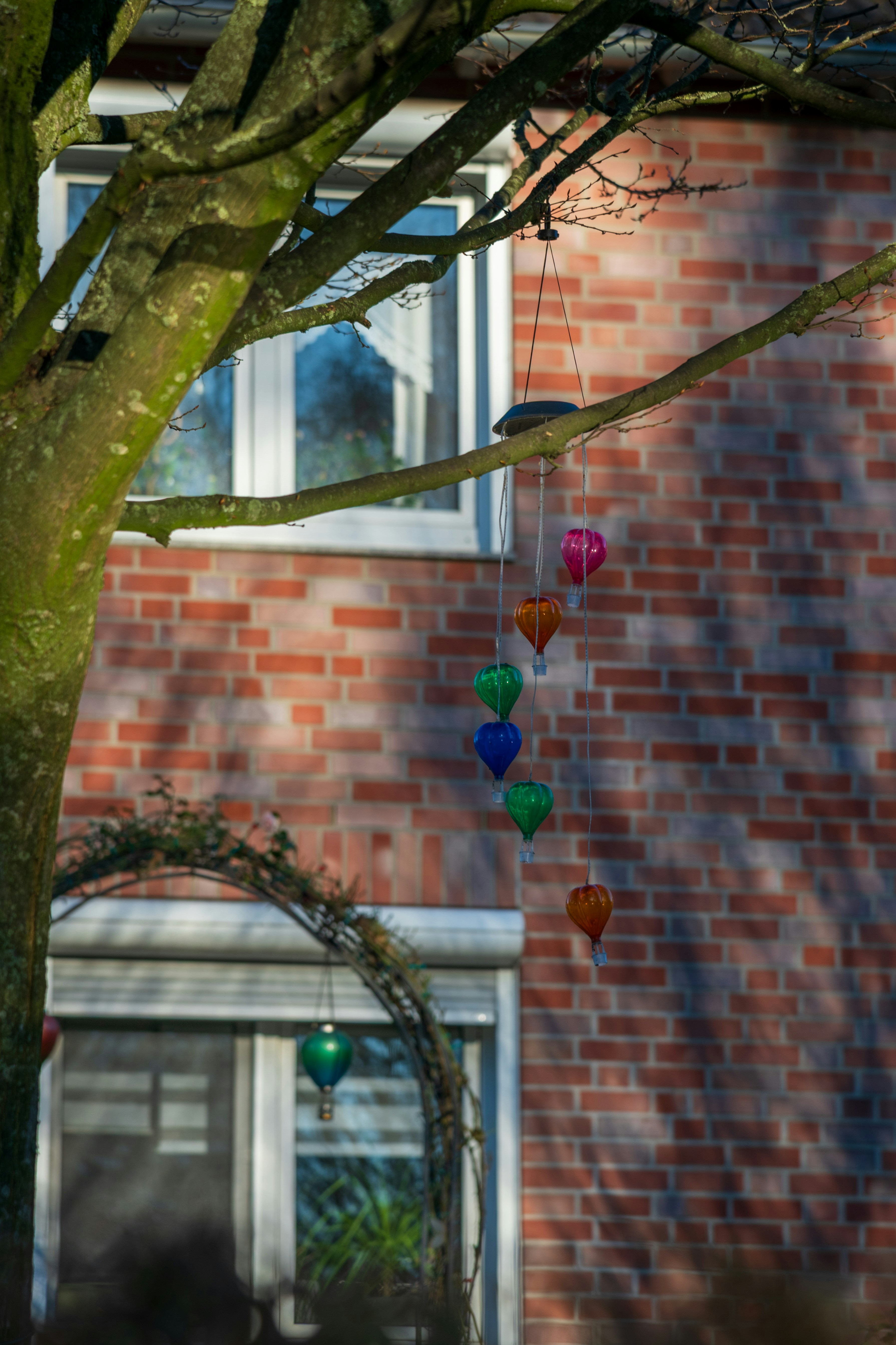 Colorful heart lanterns suspended by a branch against a brick house