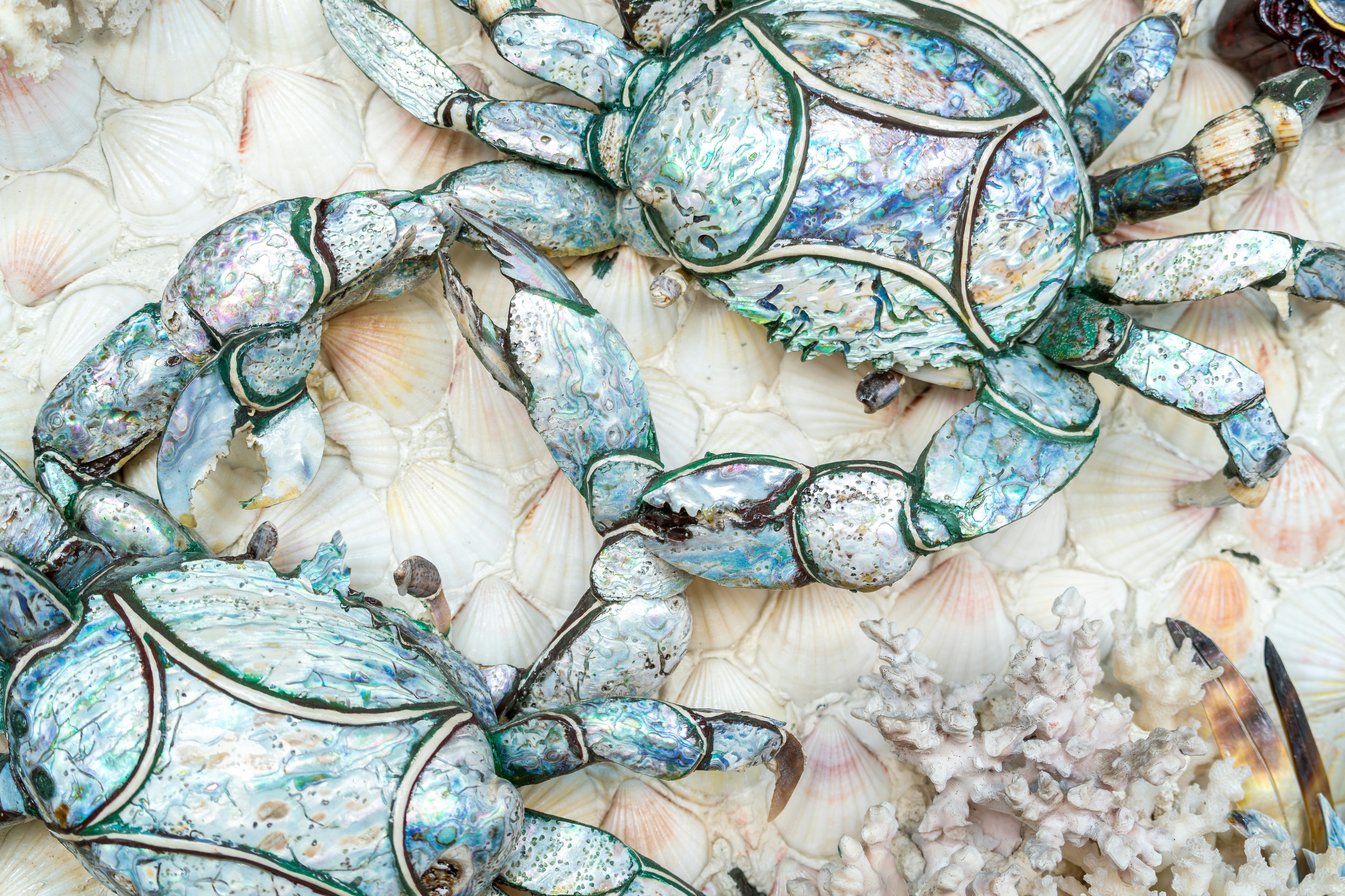 Shell-and-Shells: Crabs Carved in Coral Glow Among Seashells