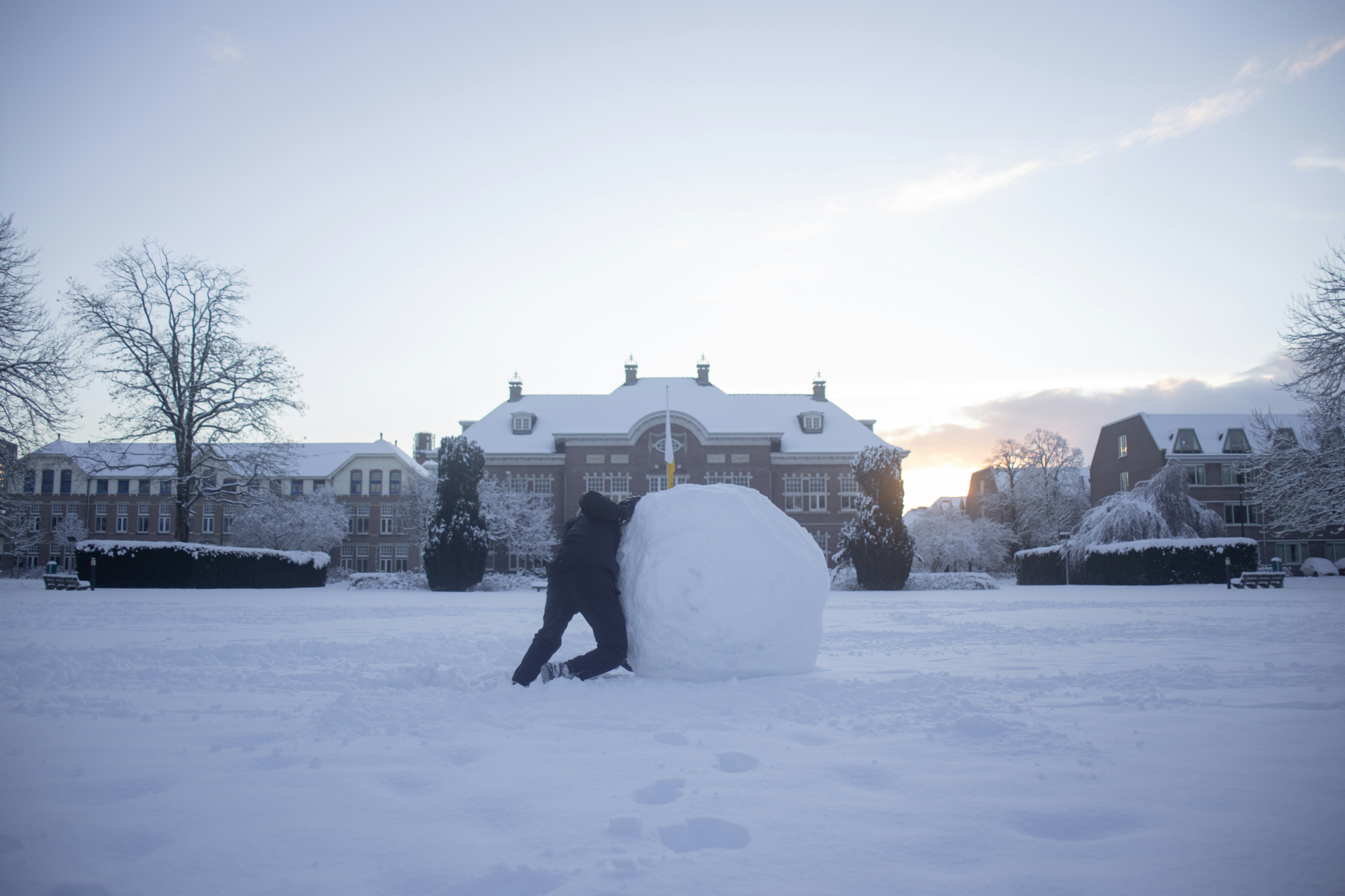 Winter Scene: A Snow-Covered Campus Comes Alive with a Snowball Sculptor