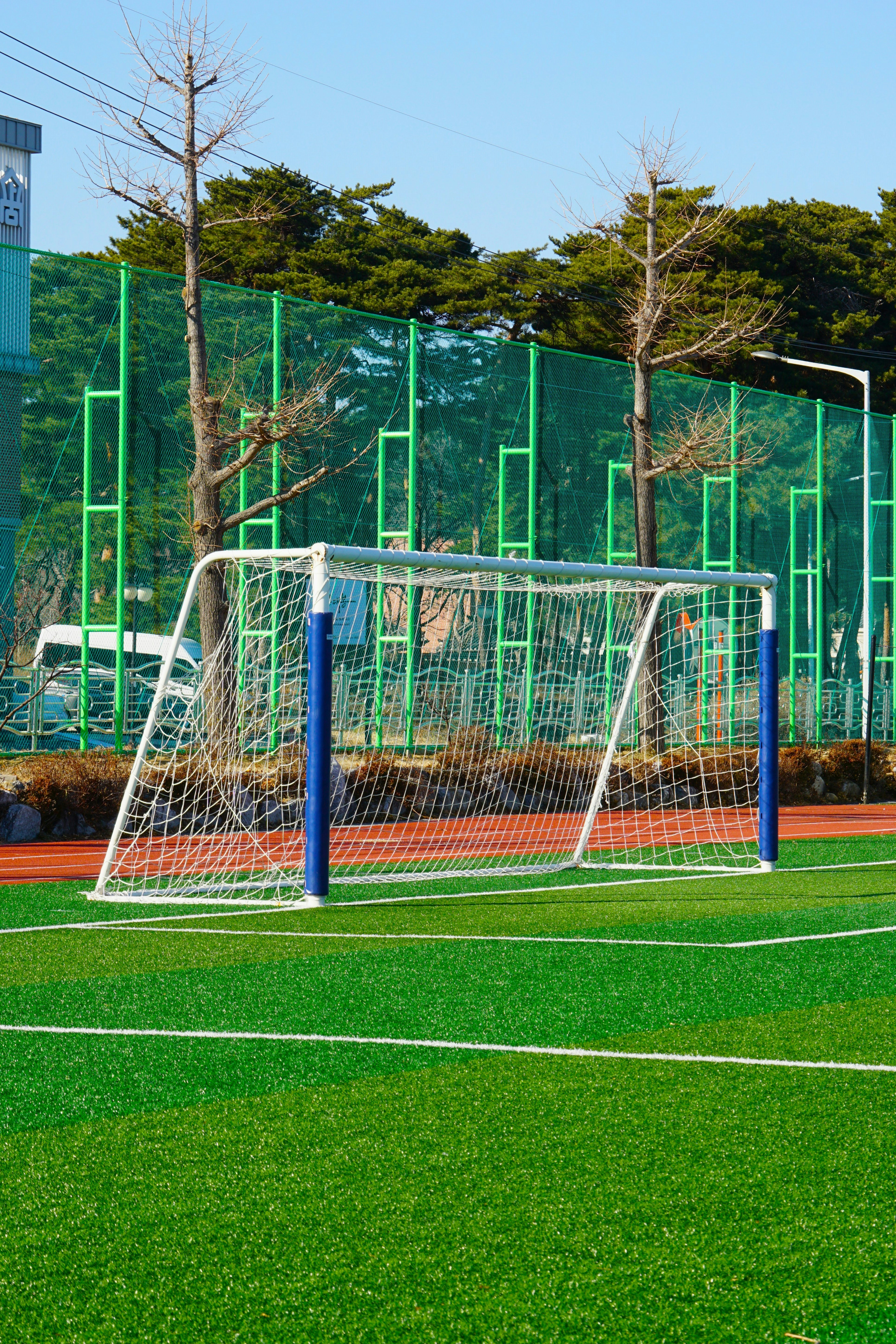 Goalkeeper’s Frame: A Soccer Net Within a Green-Field Arena