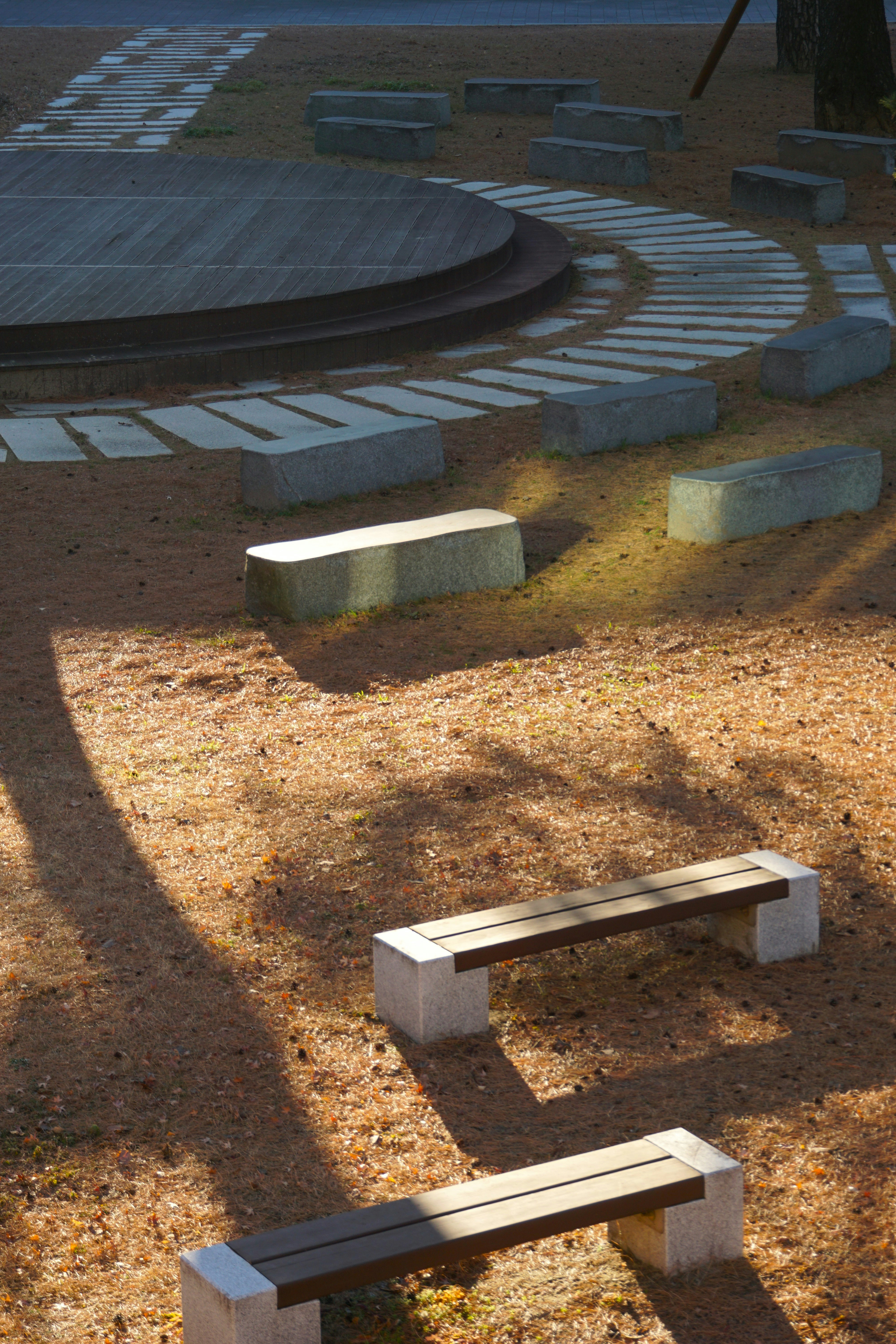 Sunlit Benches in a Quiet Park Arena