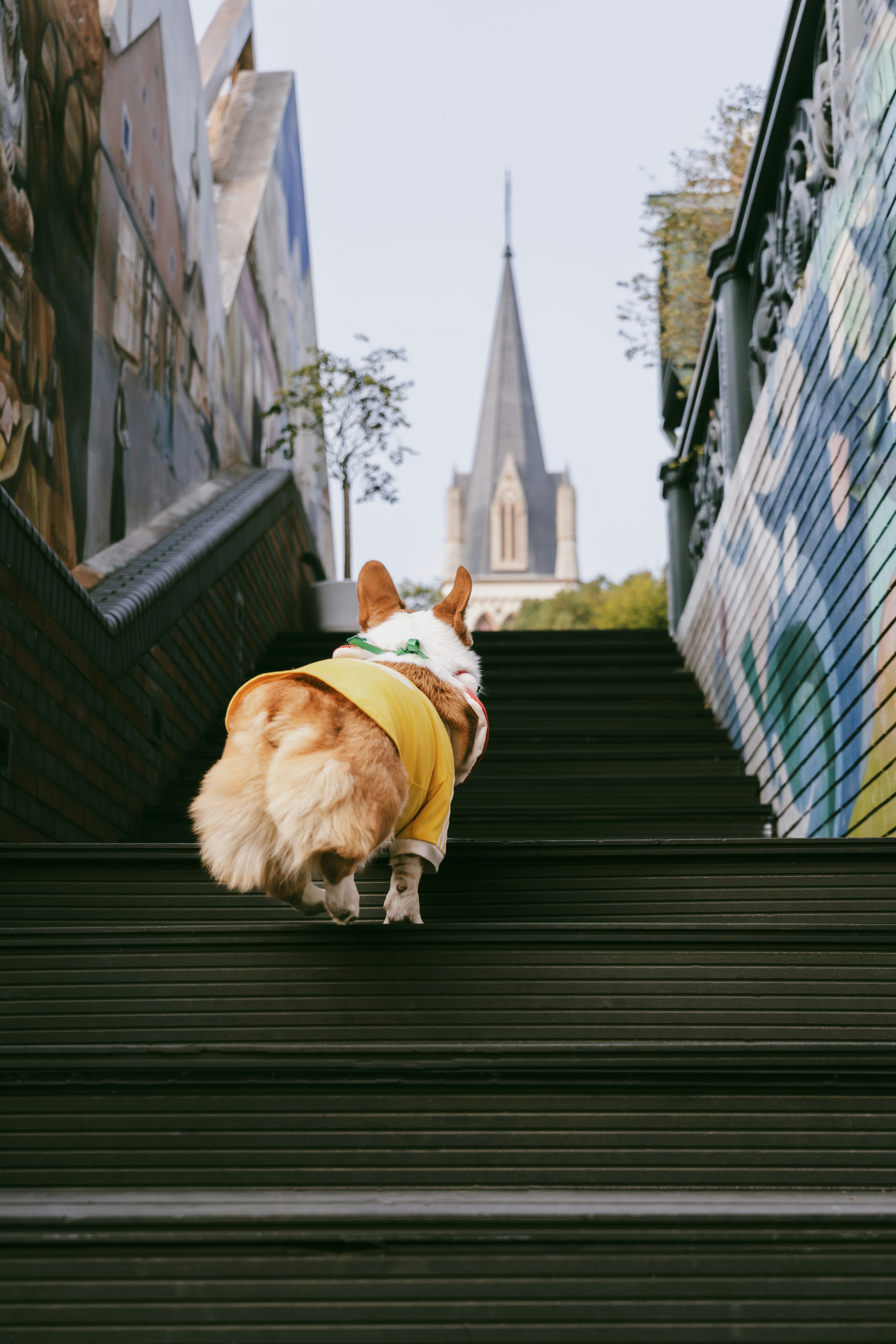 Yellow-Cloaked Corgi Ascends a City Stairway Toward a Gothic Spire