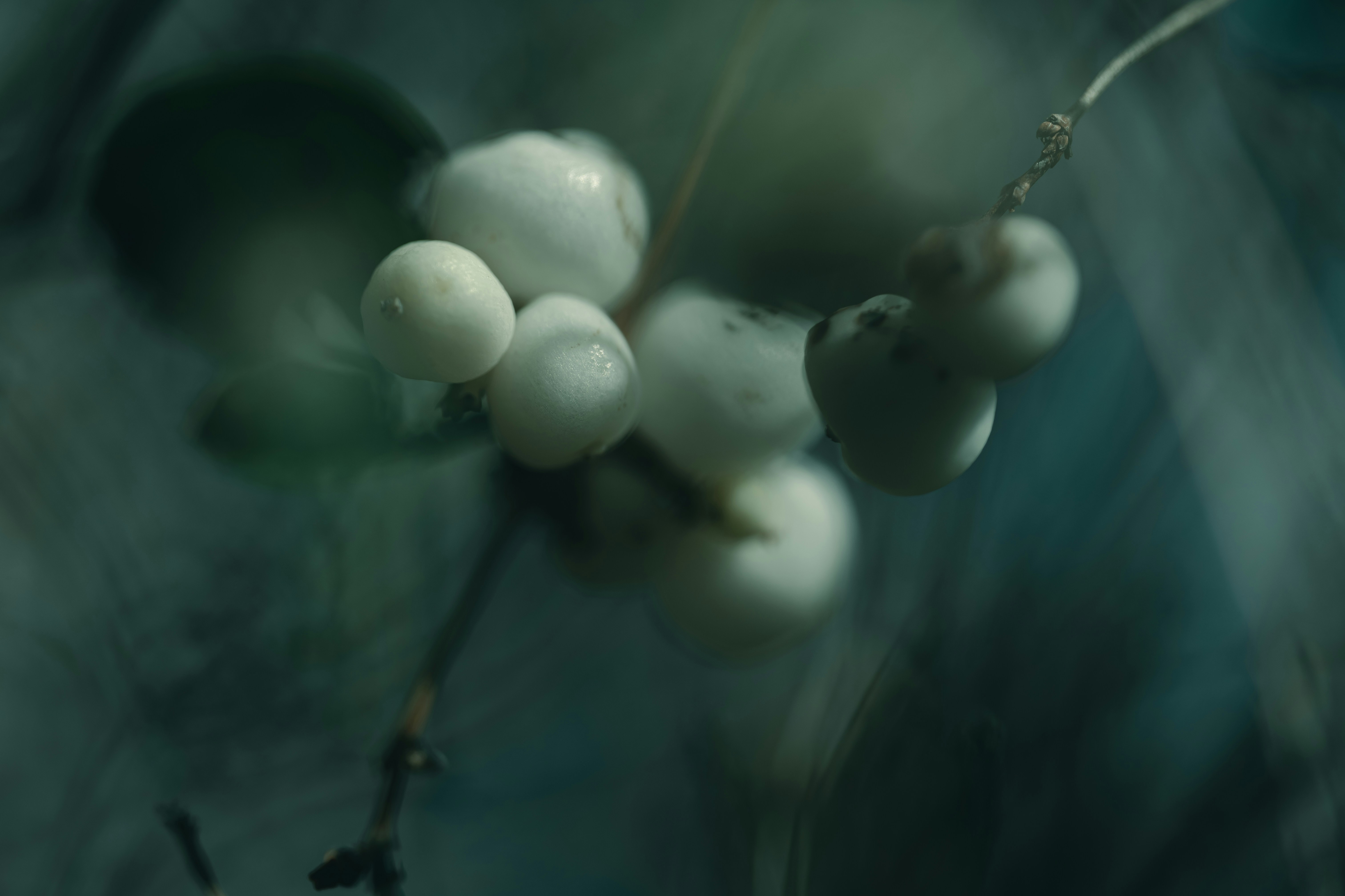 Soft Focus Berries in a Dreamy Green Haze