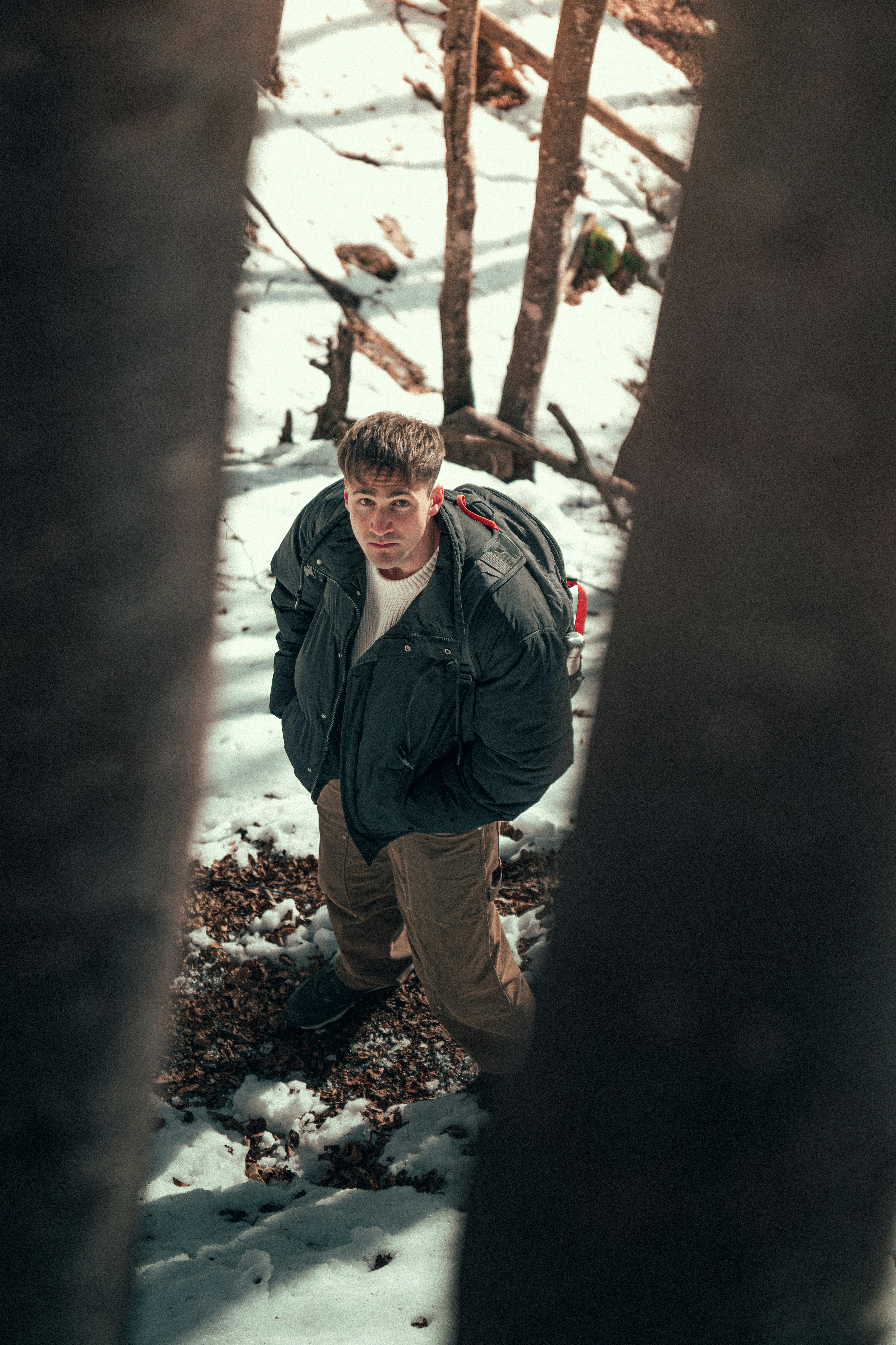 Snowbound Gaze: A climber peers upward through winter trunks