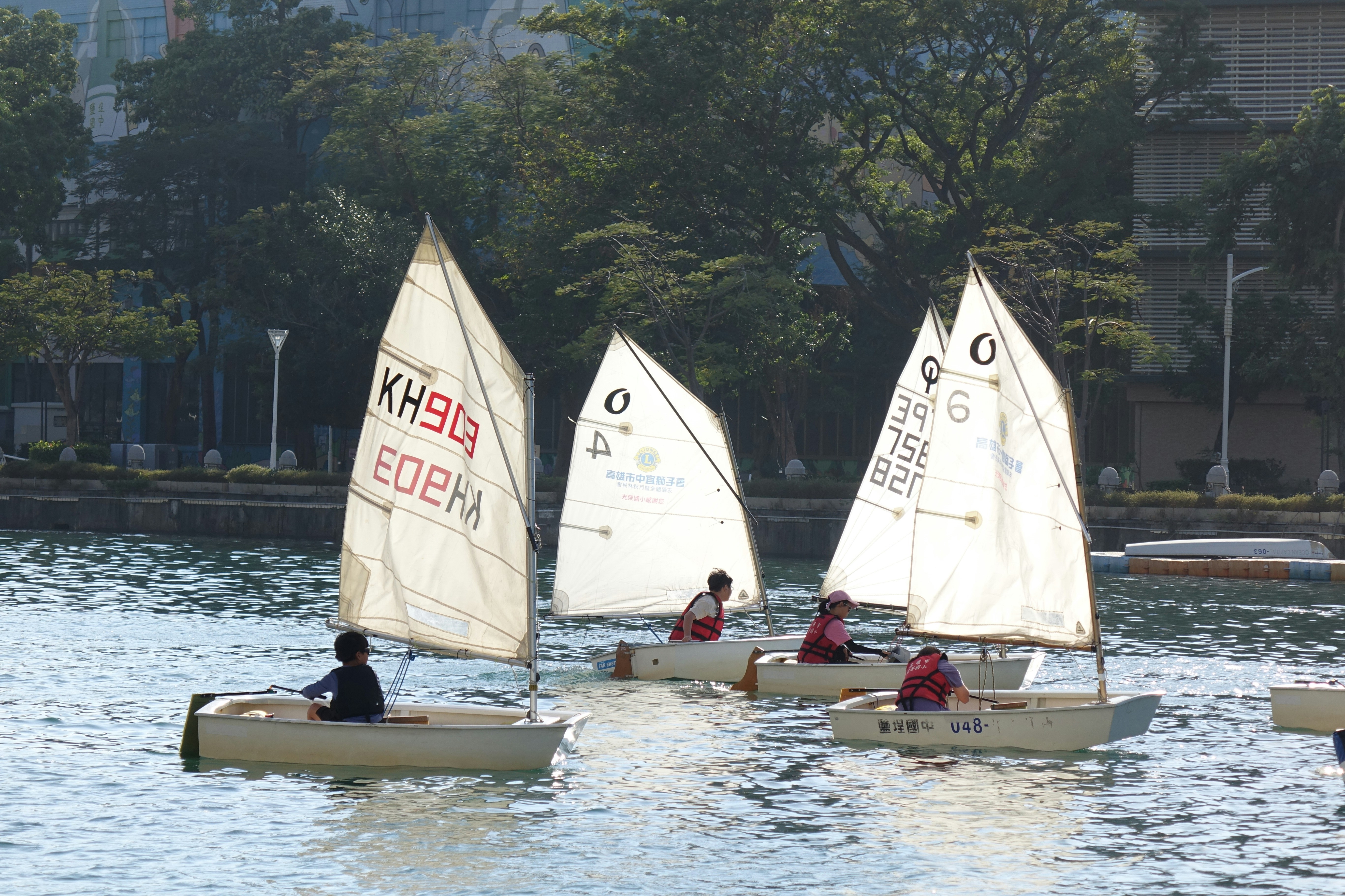 Sailboats race on a sunny day