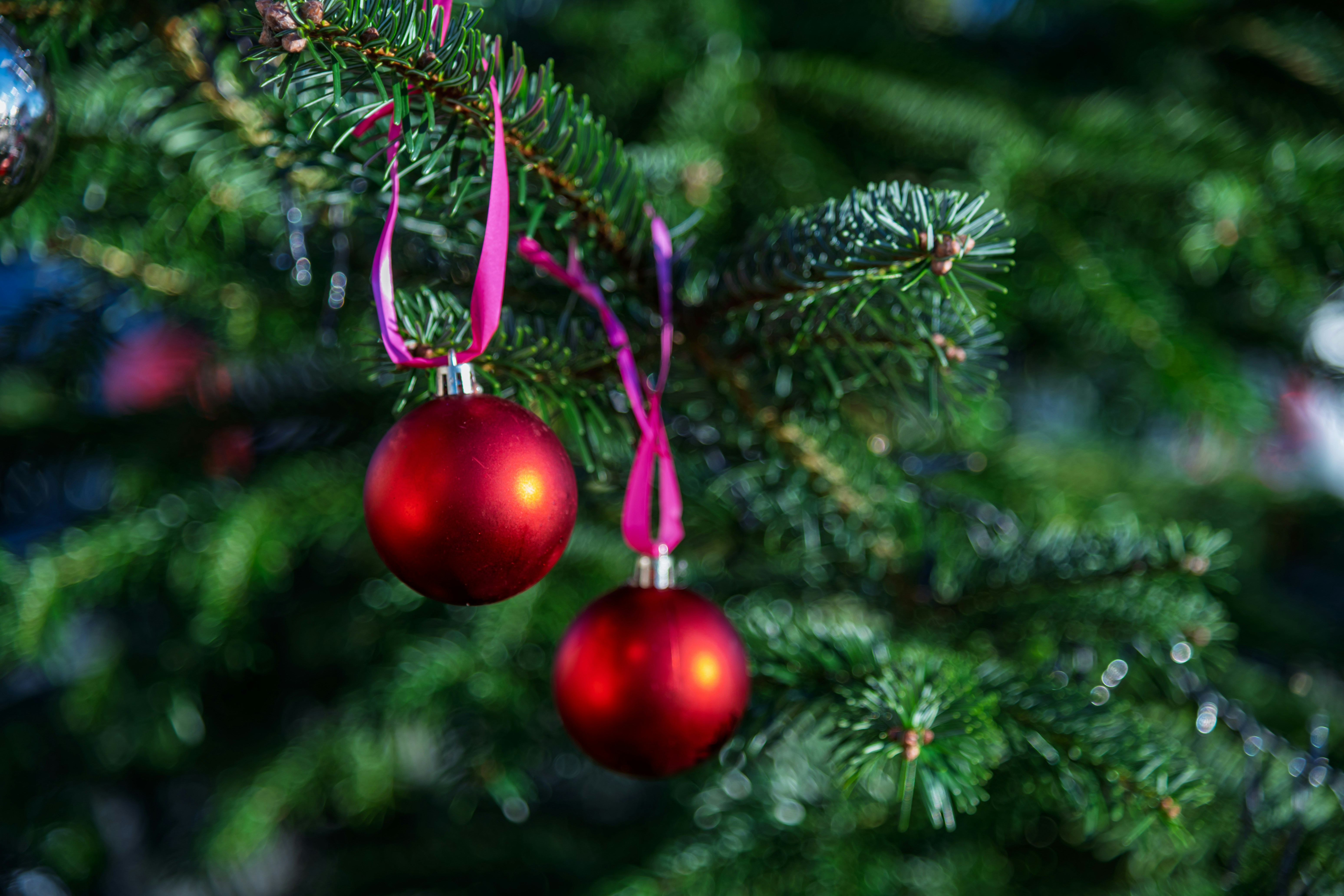 Red Christmas Orbs on a Needle-Fresh Green Curtain