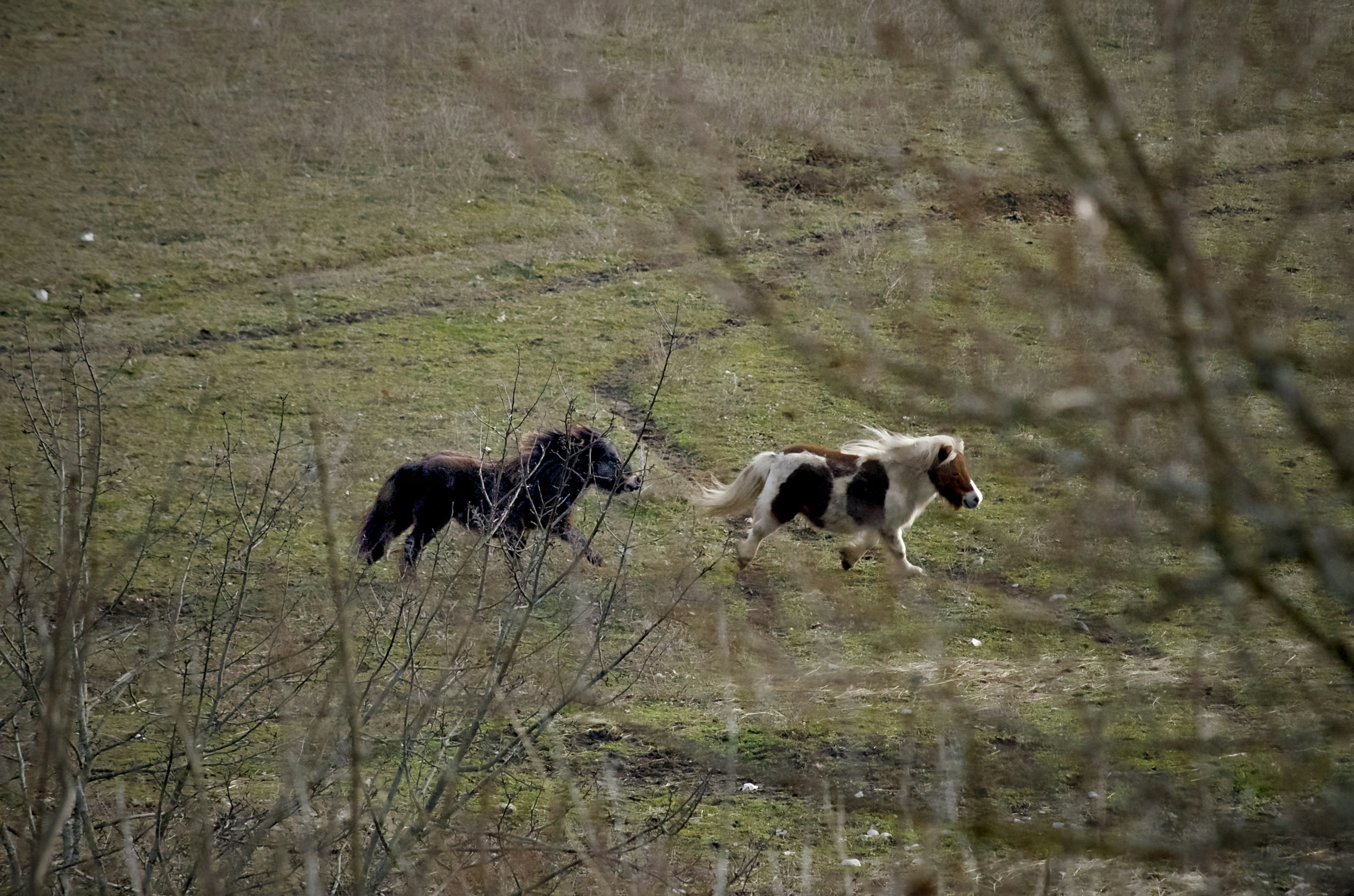 Photo by Mario Beducci with Nikon D7000