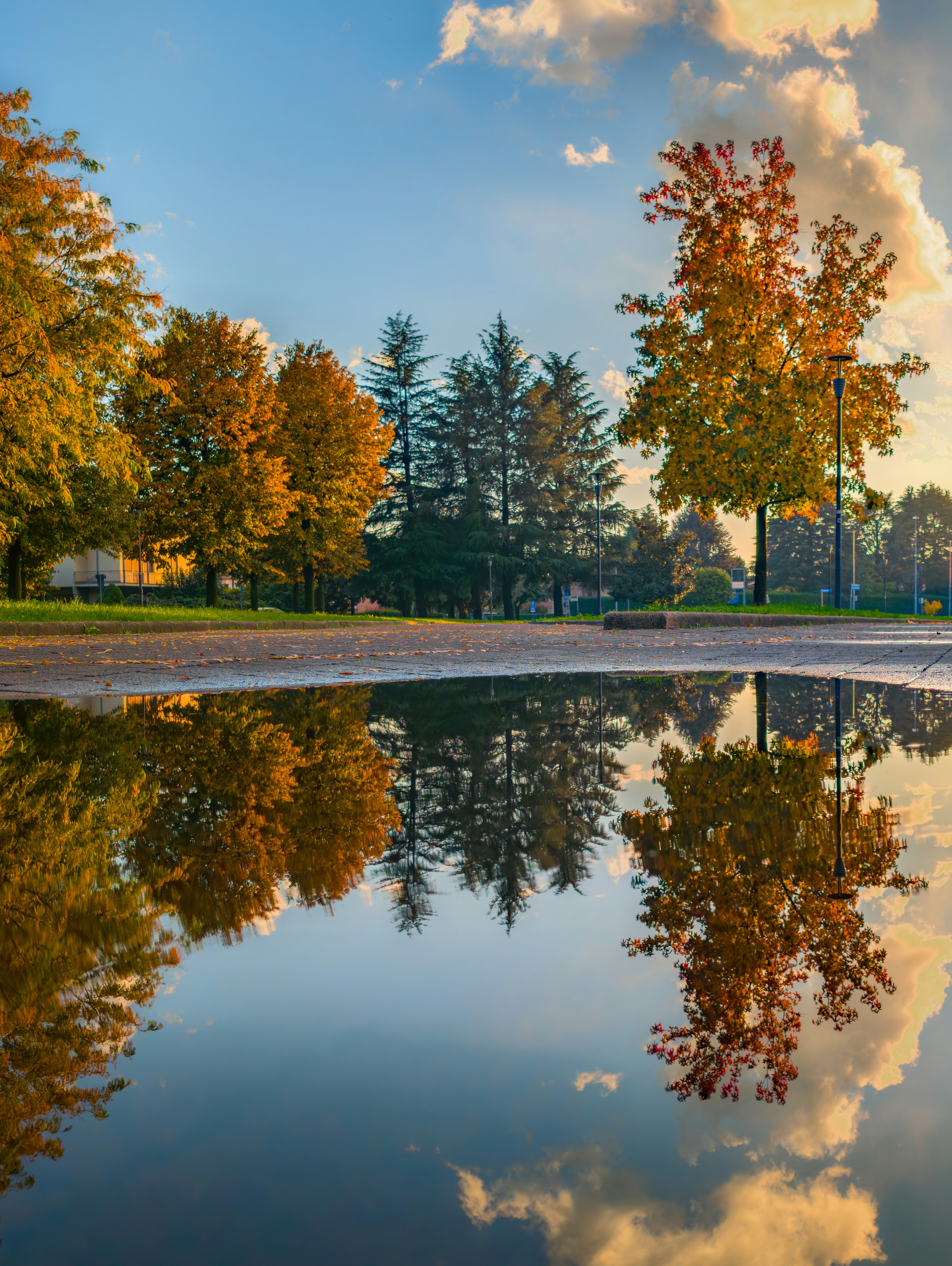 Autumn Reflections: Riverside Row of Trees