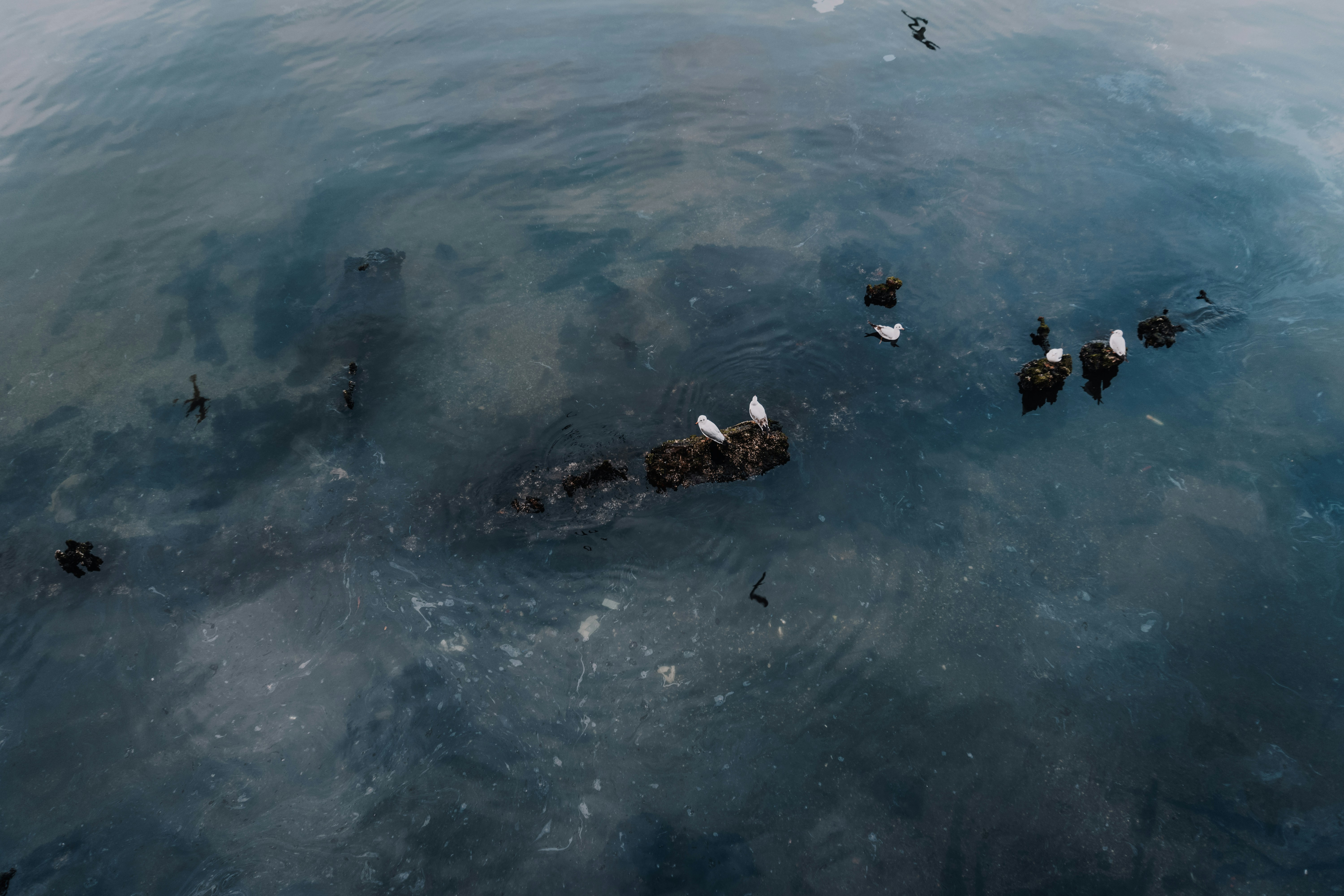 Photo by Zulfugar Karimov with Sony Alpha 6400