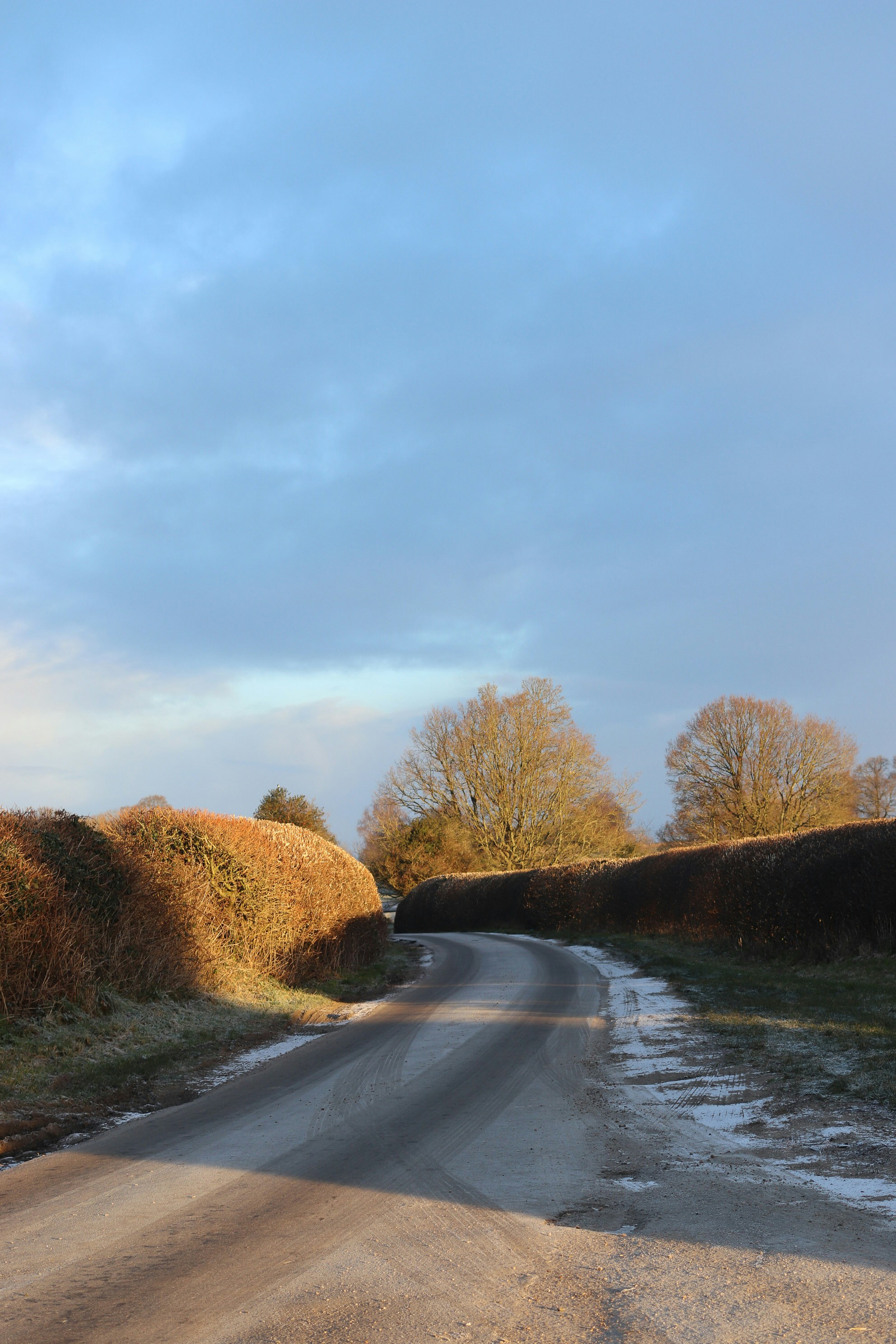 Snowy Rural Lane Framed by Autumnal Hedgerows