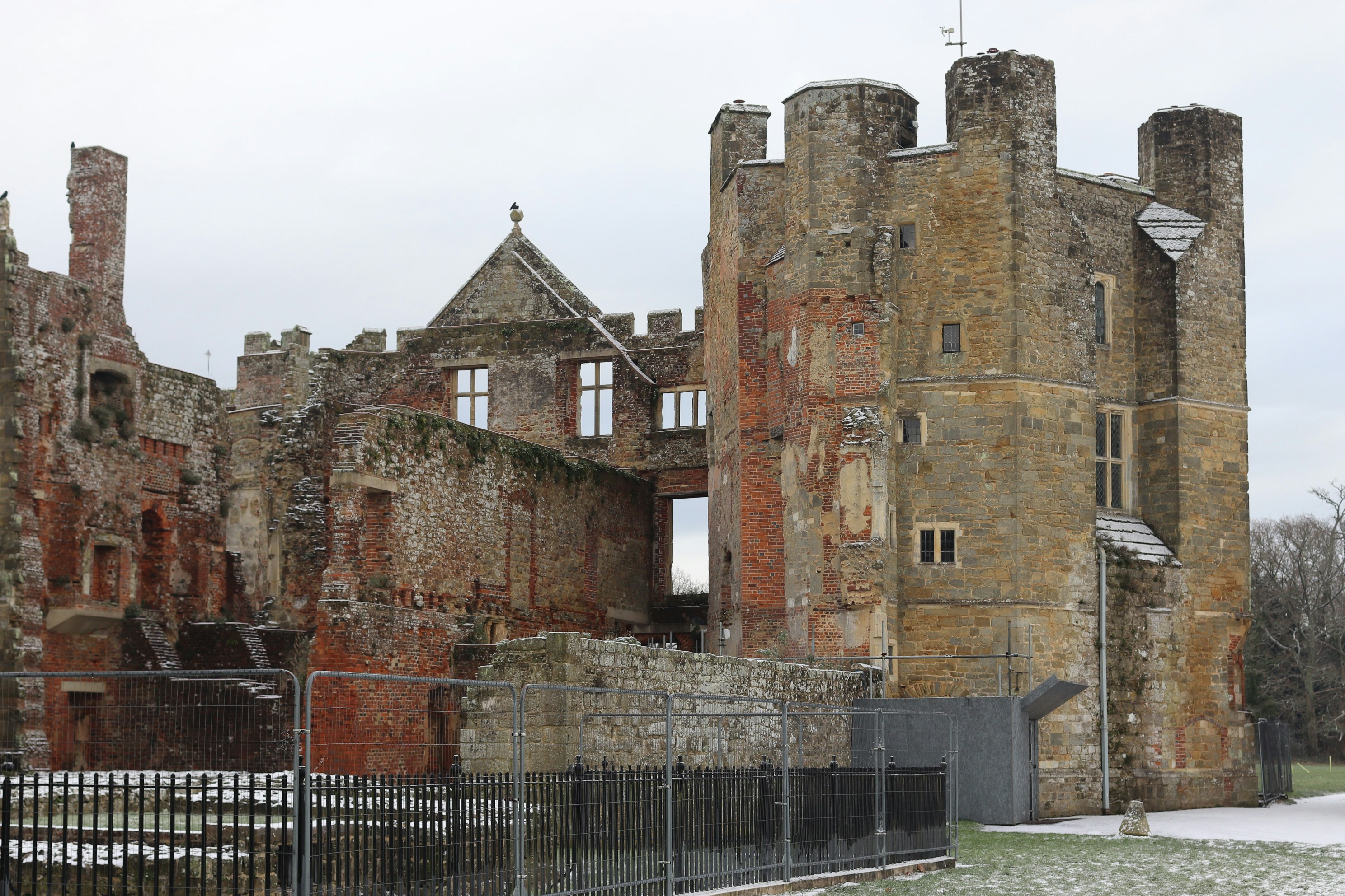 Photo by Tanya Barrow with Canon EOS 77D