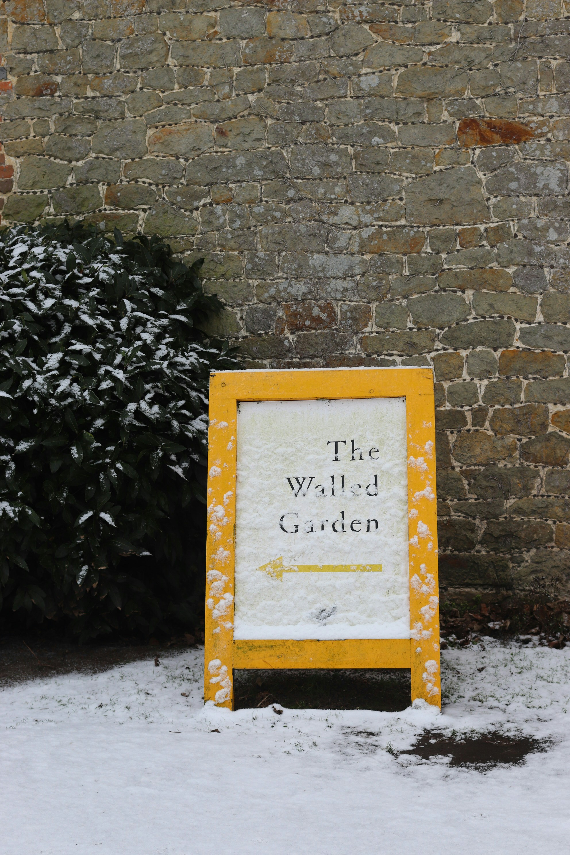 Yellow-framed Signpost in Snowy Courtyard