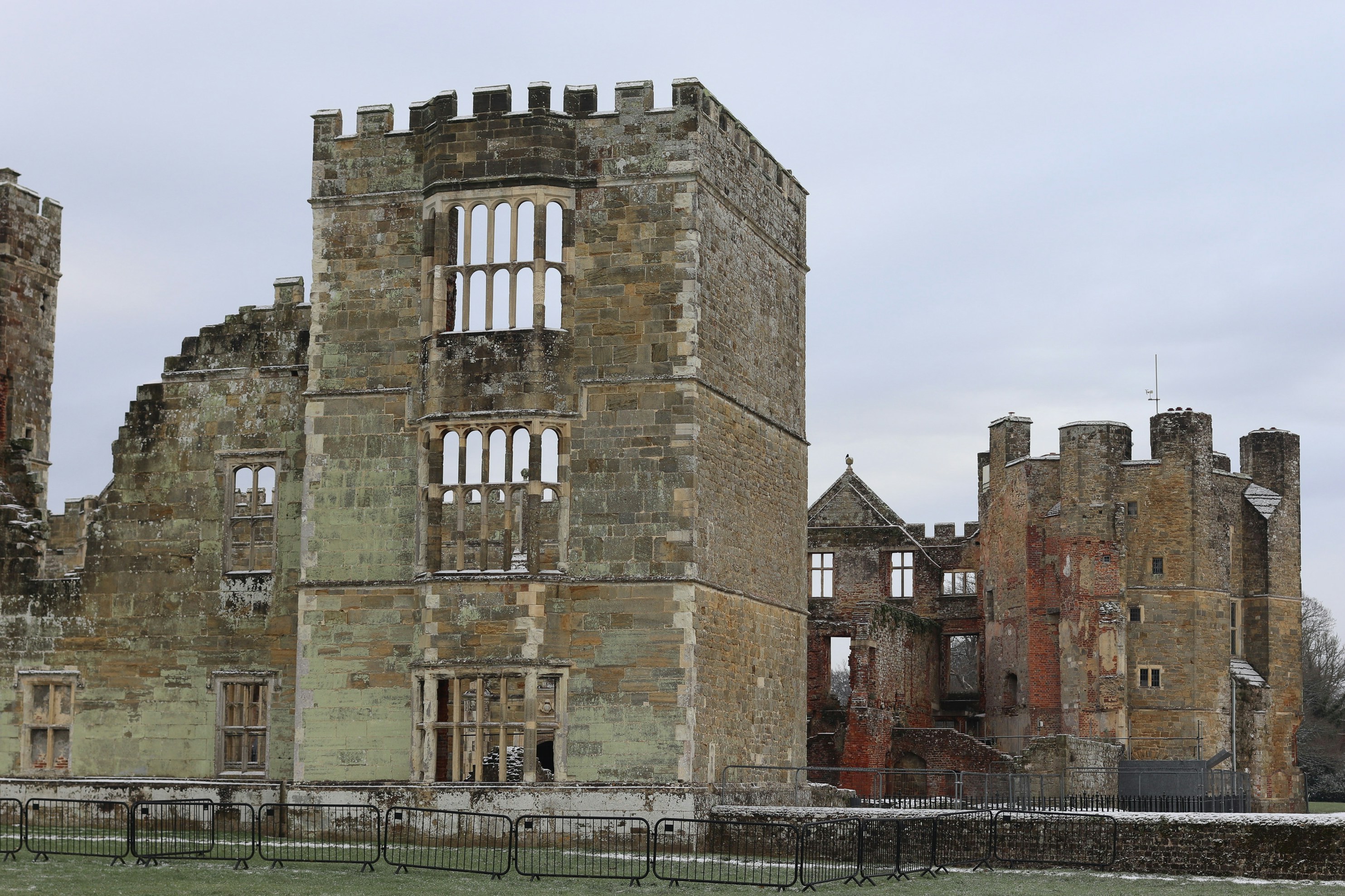 Photo by Tanya Barrow with Canon EOS 77D