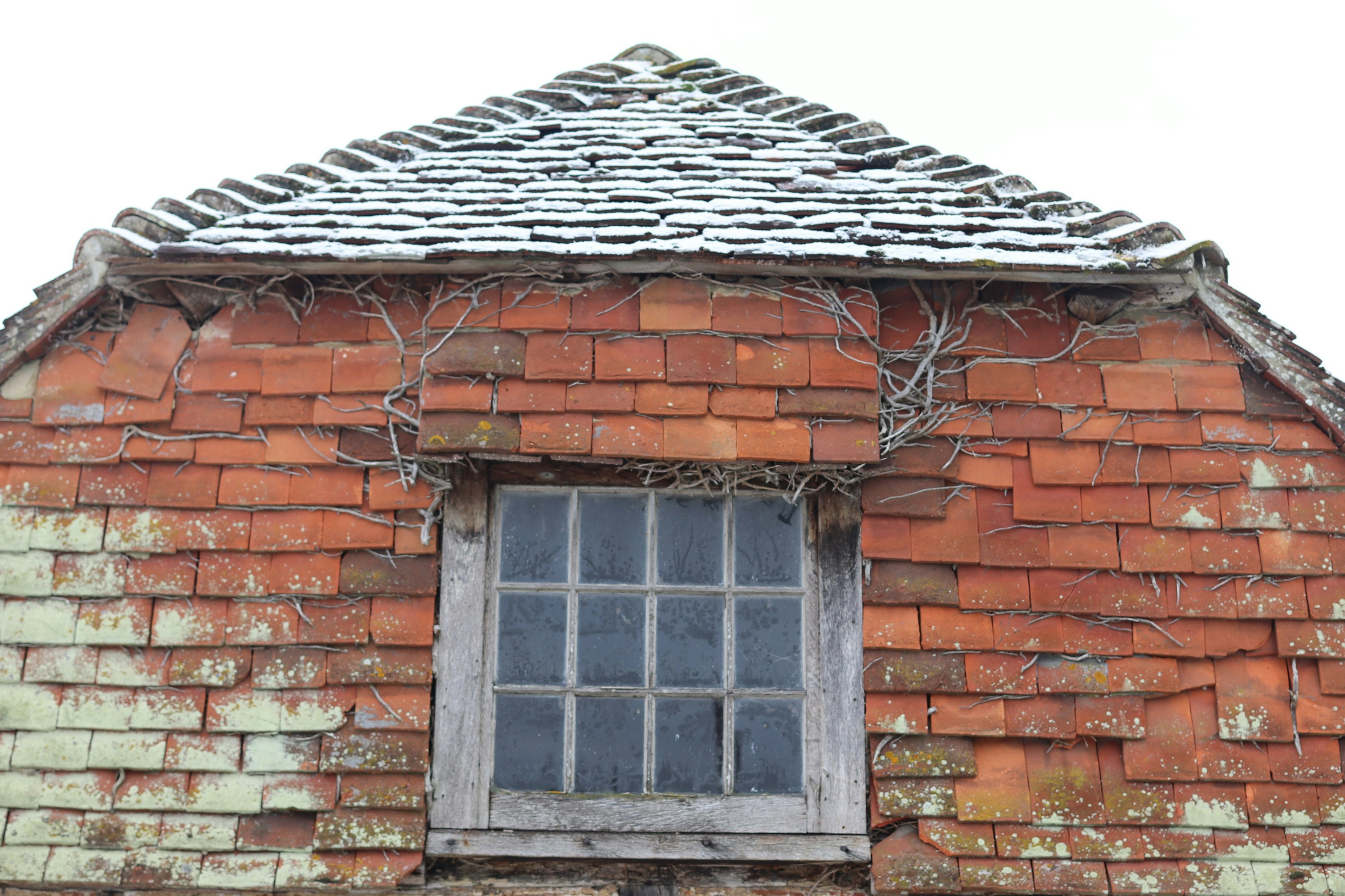 Weathered Slate: A Dormant Window in a Mossed Chalet
