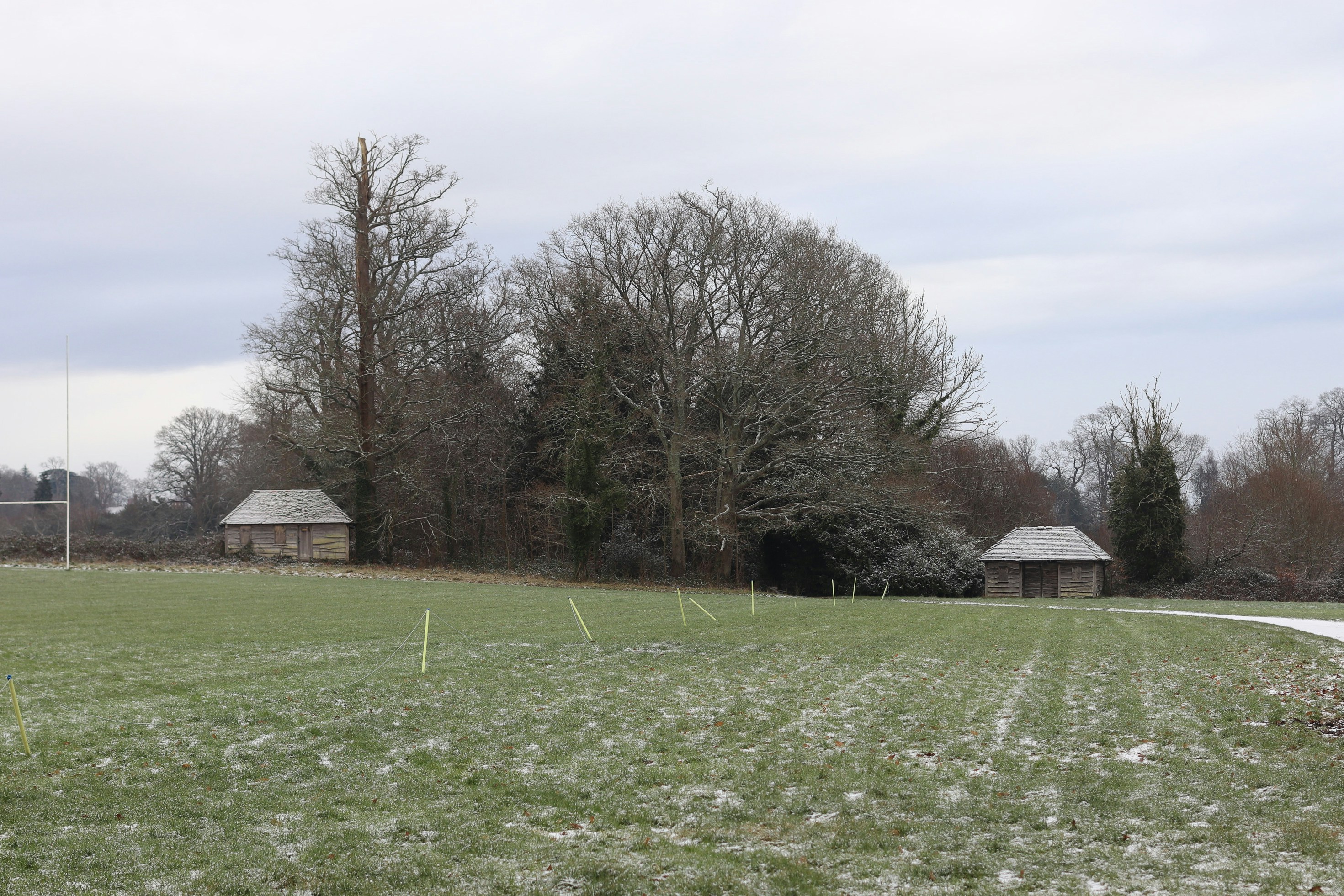 Photo by Tanya Barrow with Canon EOS 77D