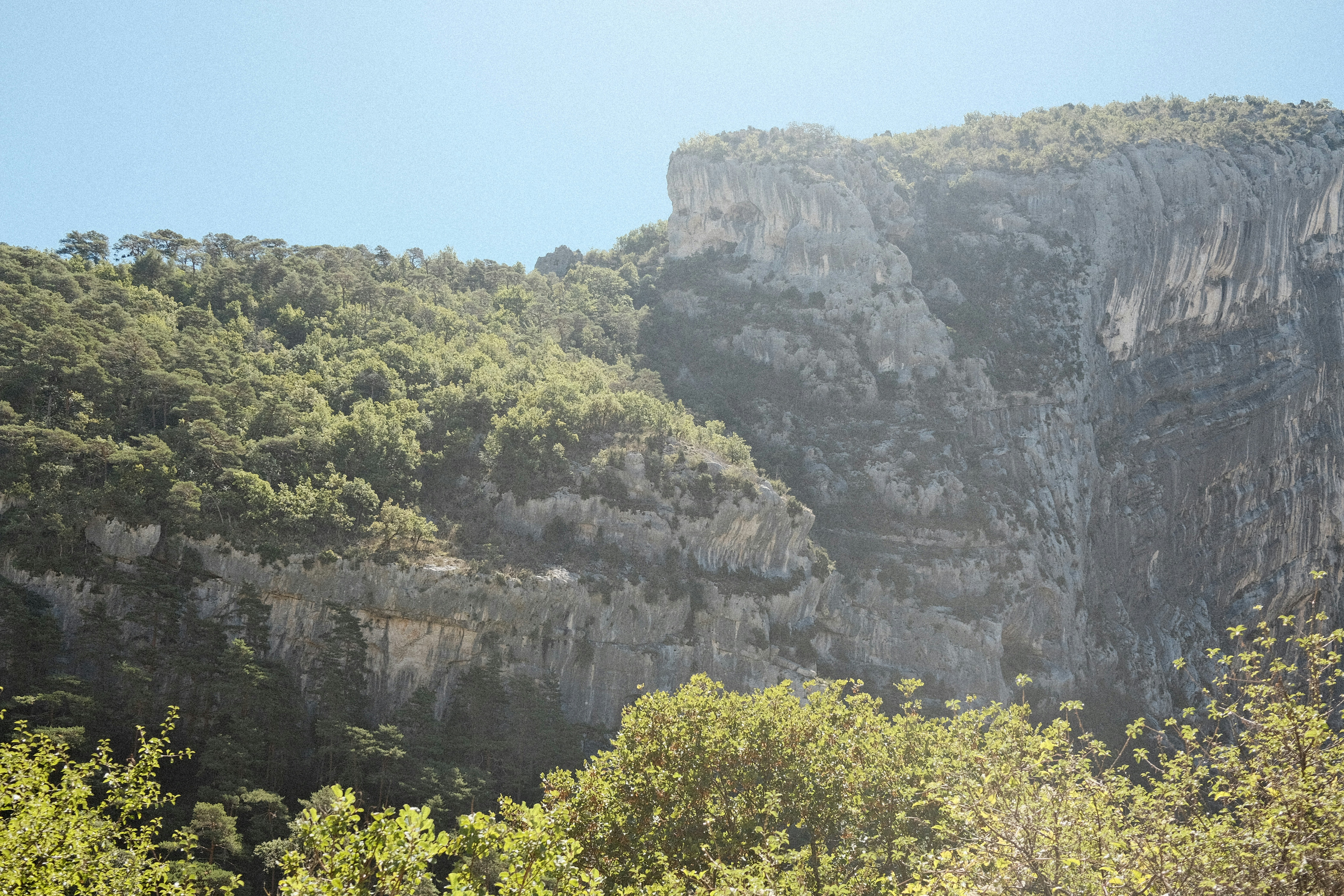 Steep rocky cliff face covered in treesValentin Lacoste