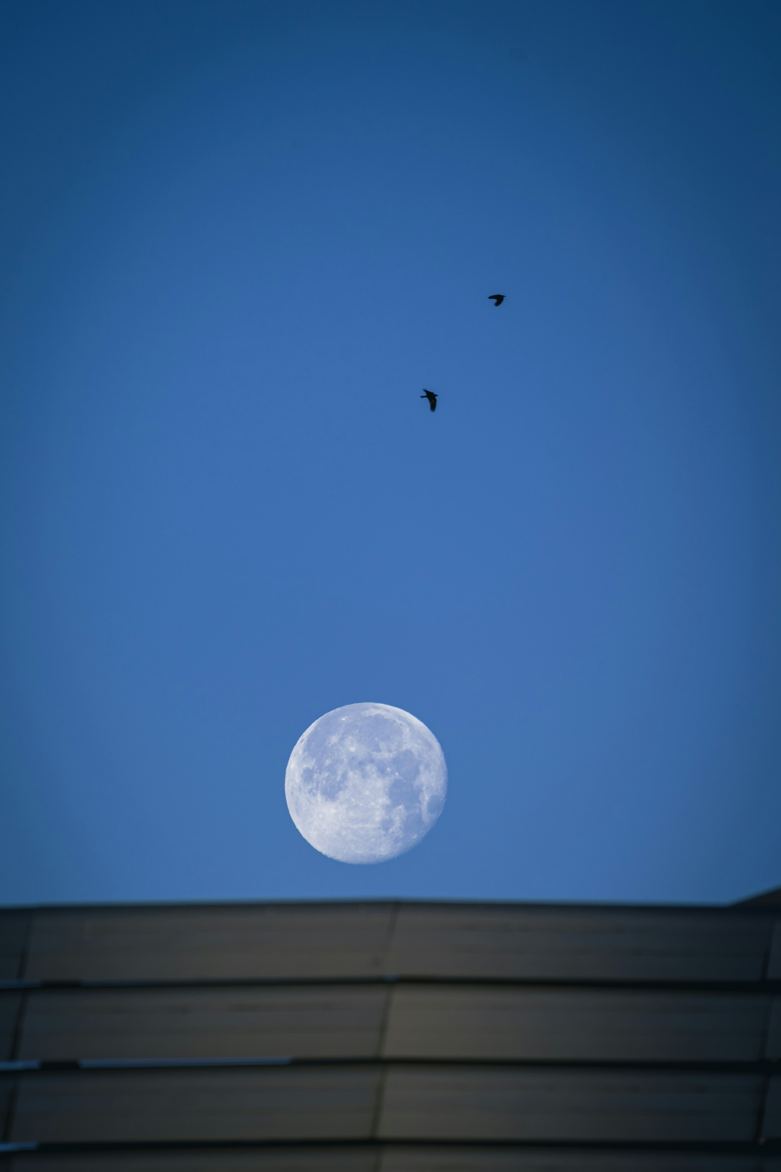 Moonrise Over a Modern Facade