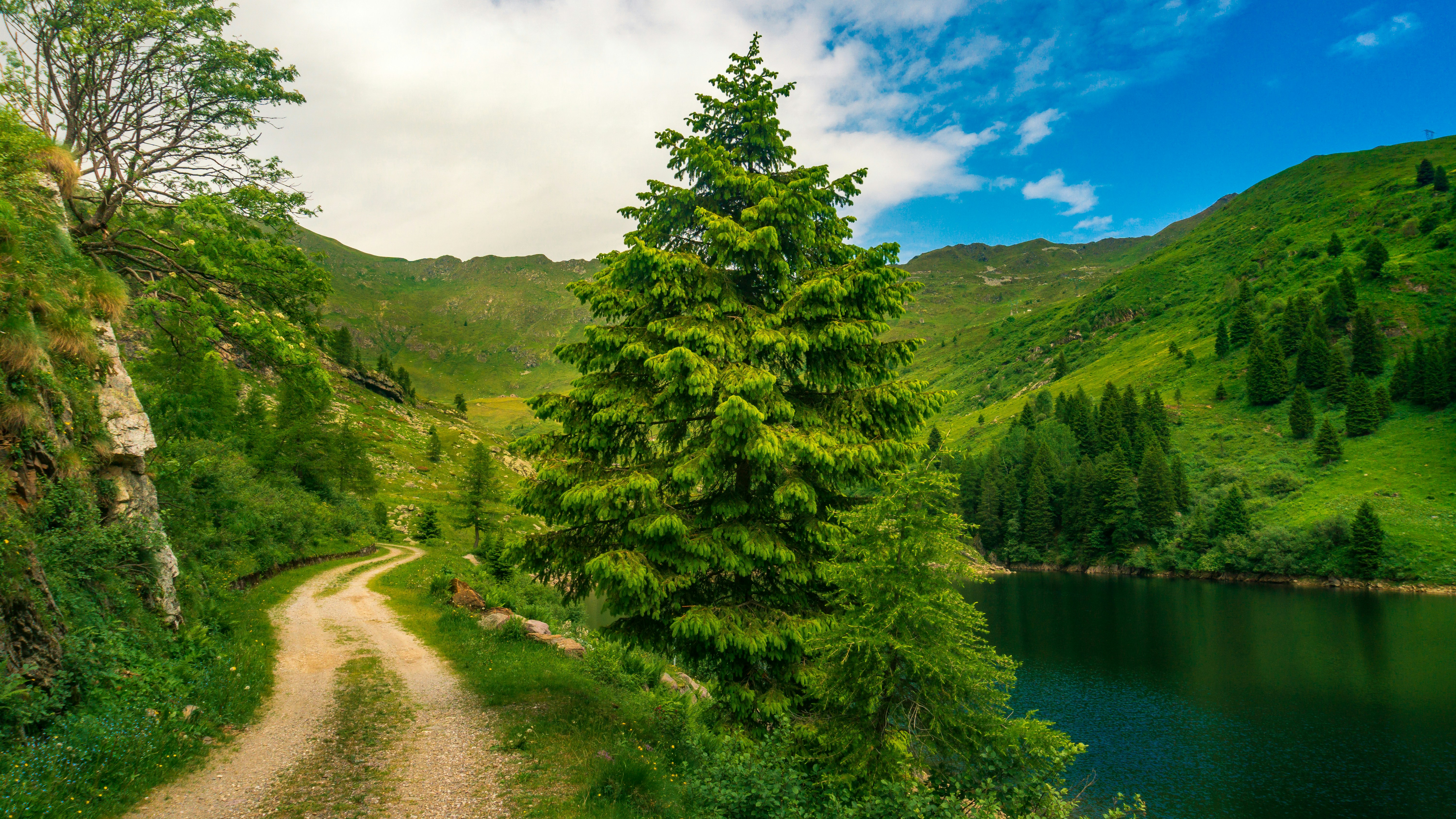 Lakeside Trail Through Alpine Greens