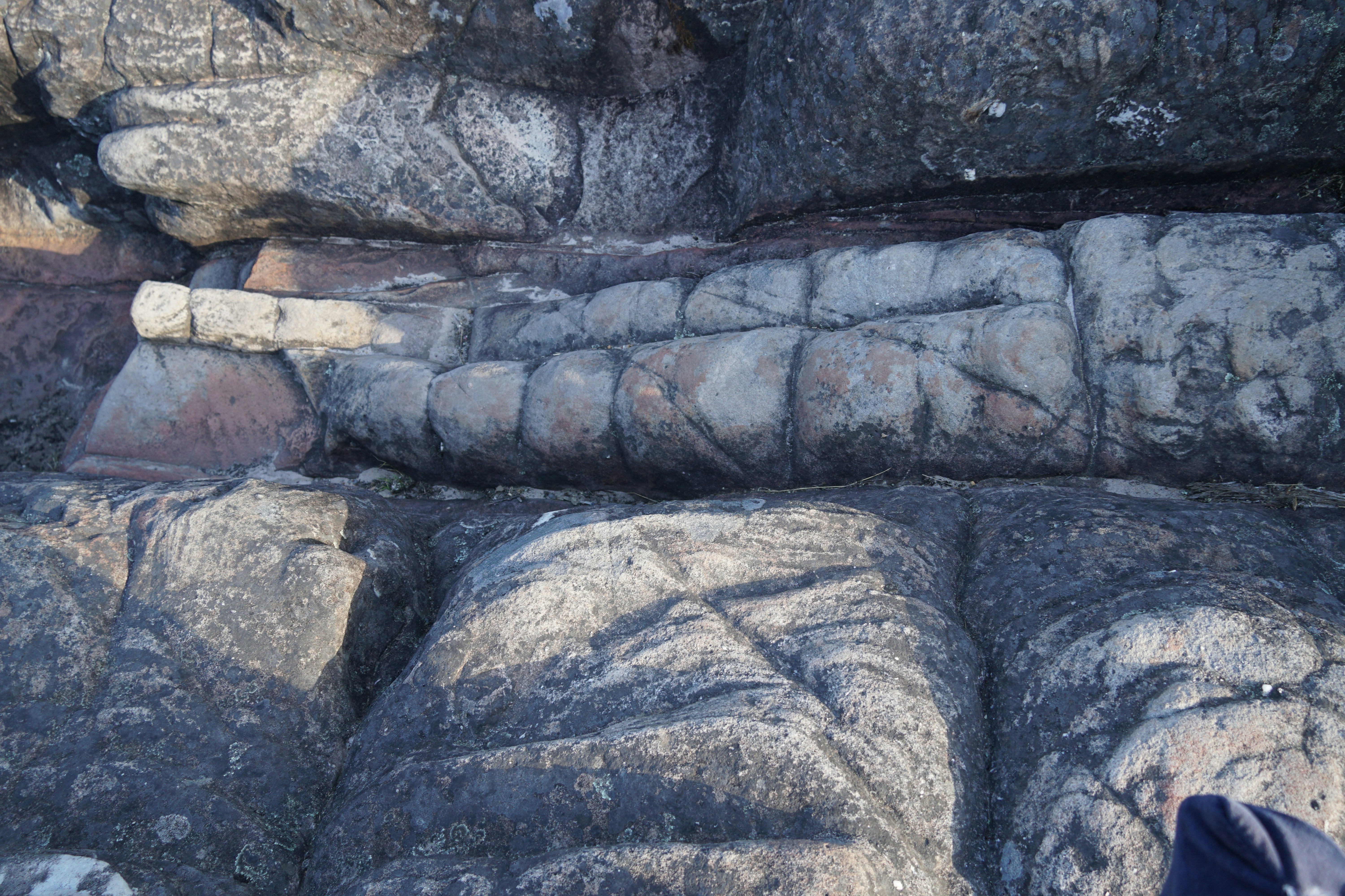 Beverly Lin (@bev_lin) | Unsplash 사진 커뮤니티