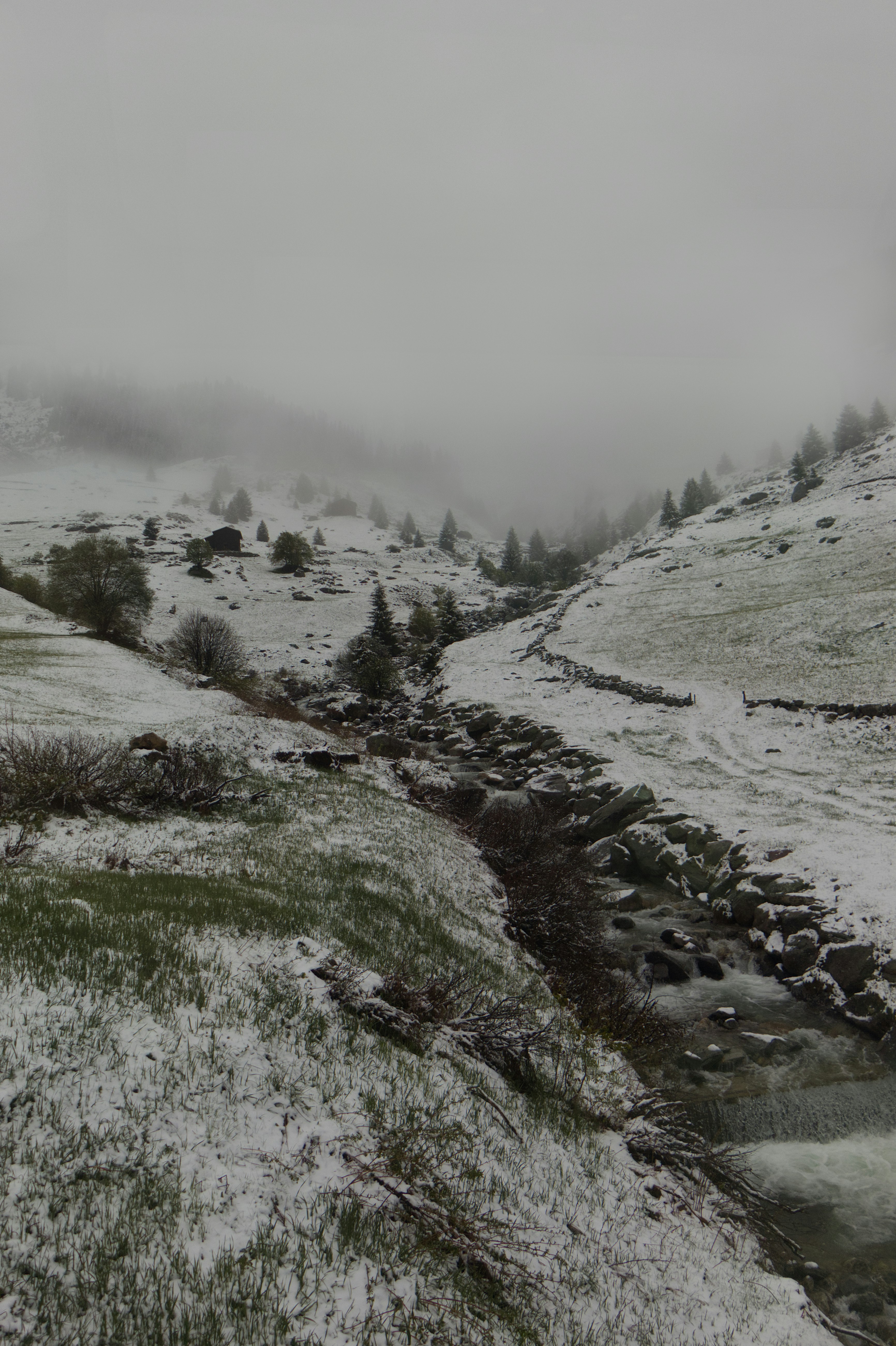 Mist over a Snow-Kissed Valley: A Quiet Mountain Stream