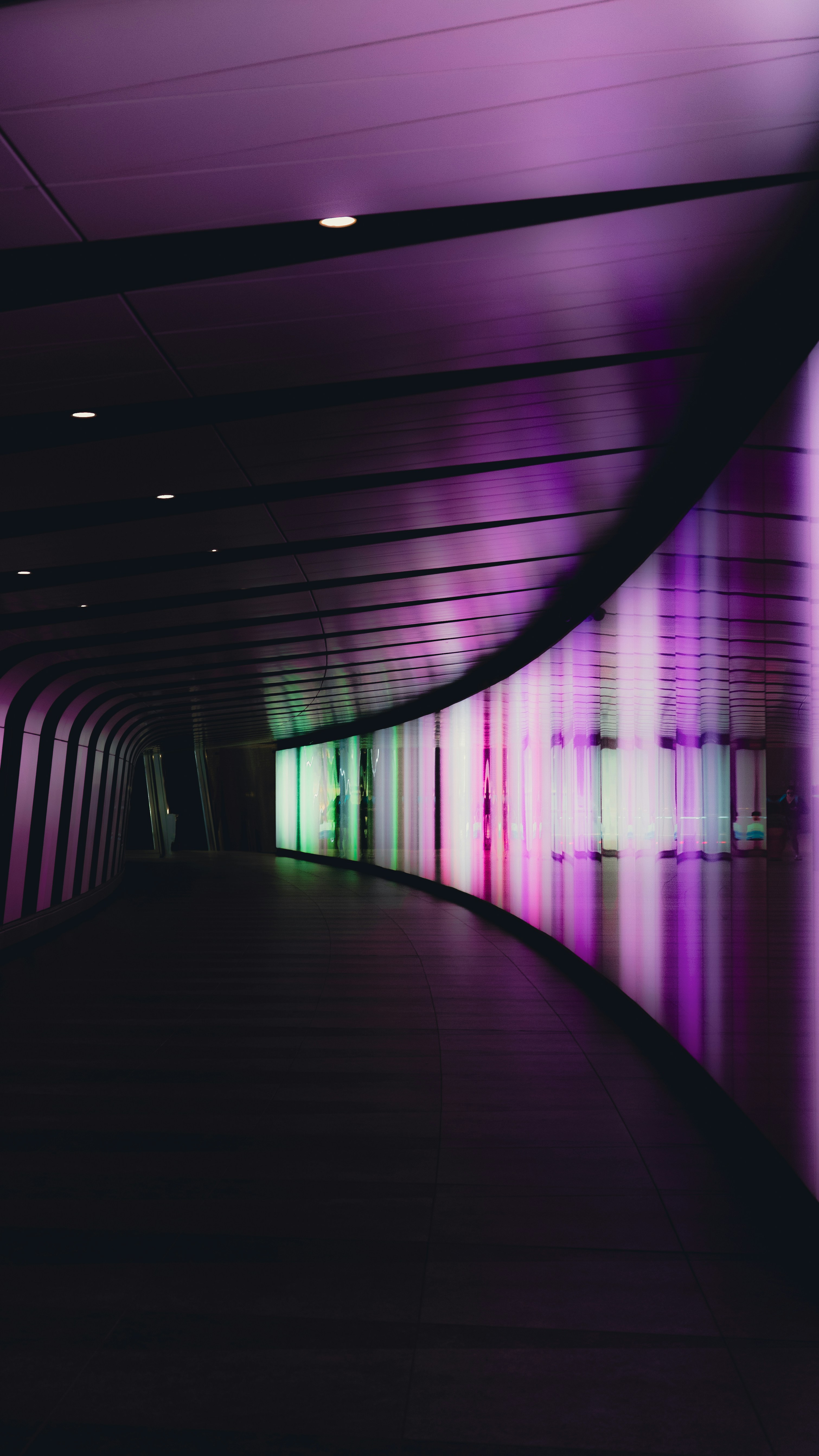 Photo by Hamza K with Sony Alpha 7 III