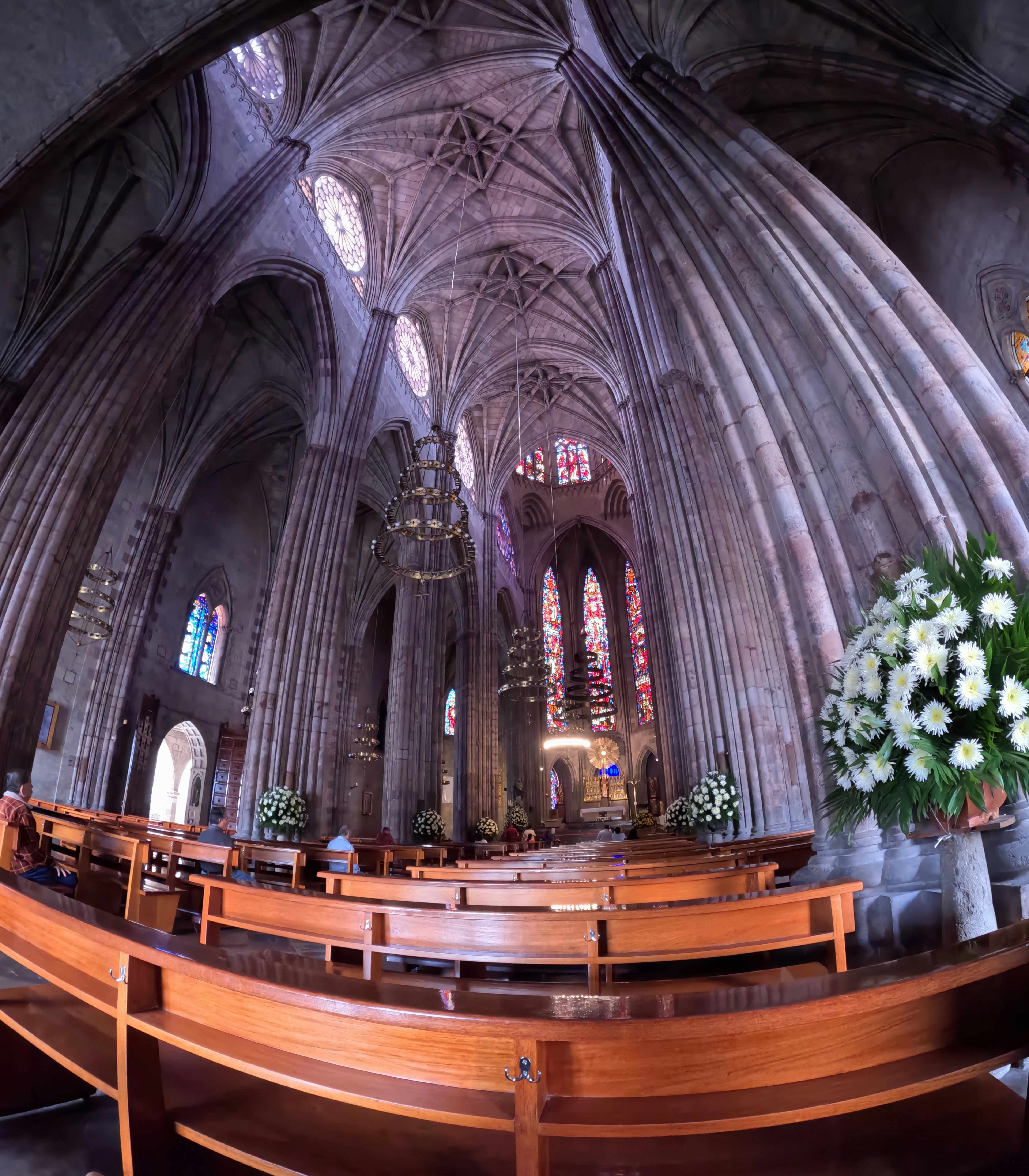 Carlos Sarmiento (@sarmiente) | Unsplash Photo Community