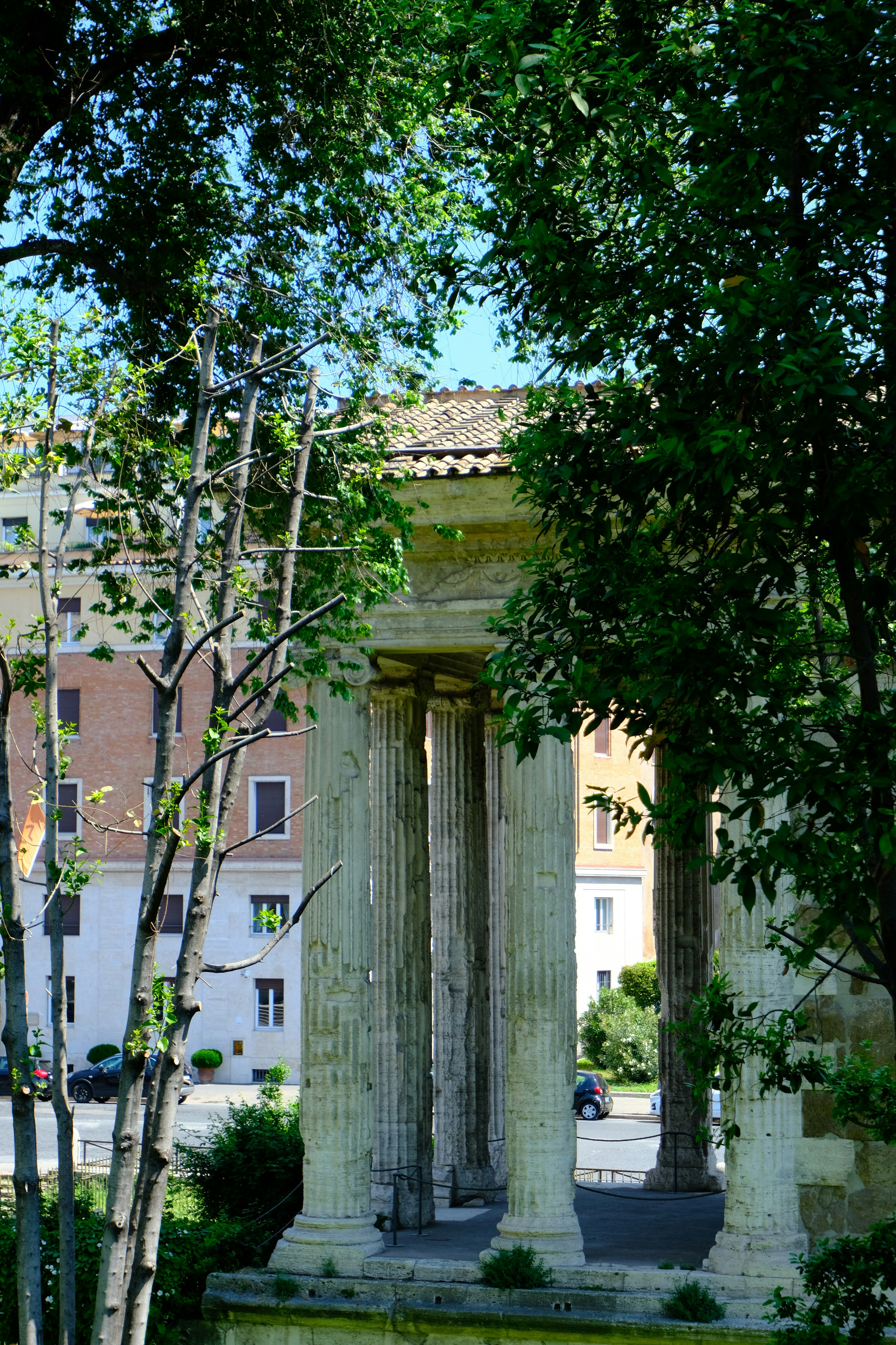 Columns Beneath the Canopy: an Ancient Shrine Framed by Urban Greens