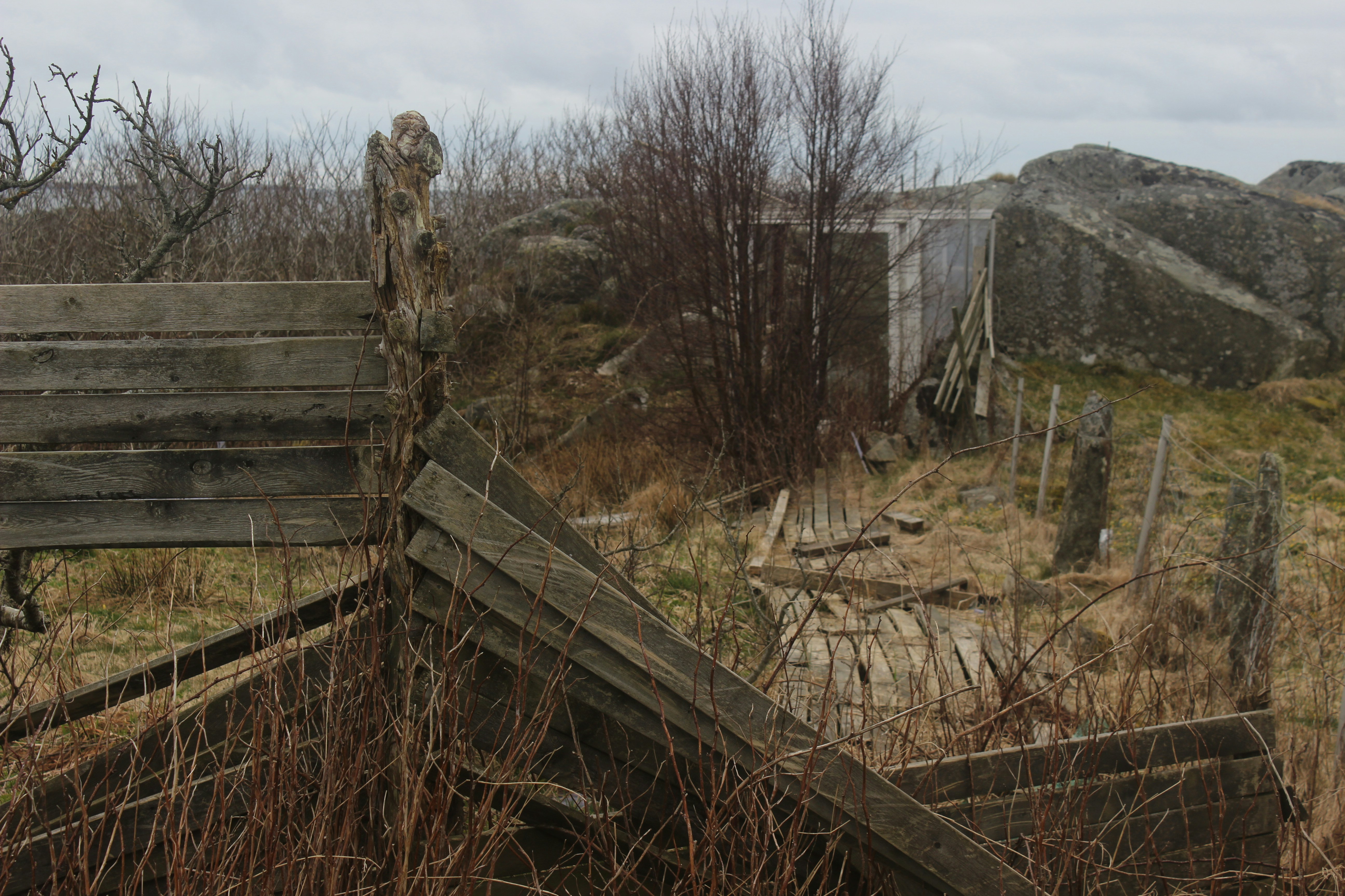 Pasture Bones and Weathered Wood in a Wistful Landscape