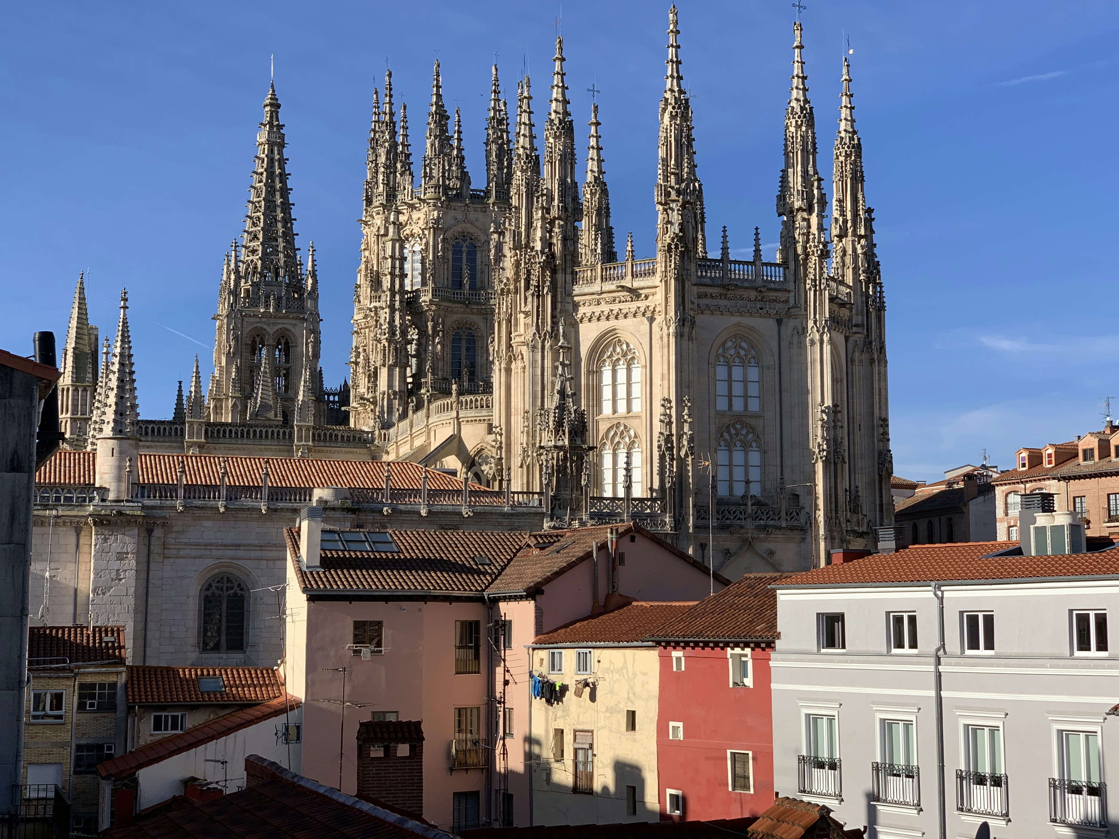 Gothic Cathedral Crowned by Spires Above a Quirky Row of Colorful Townhouses