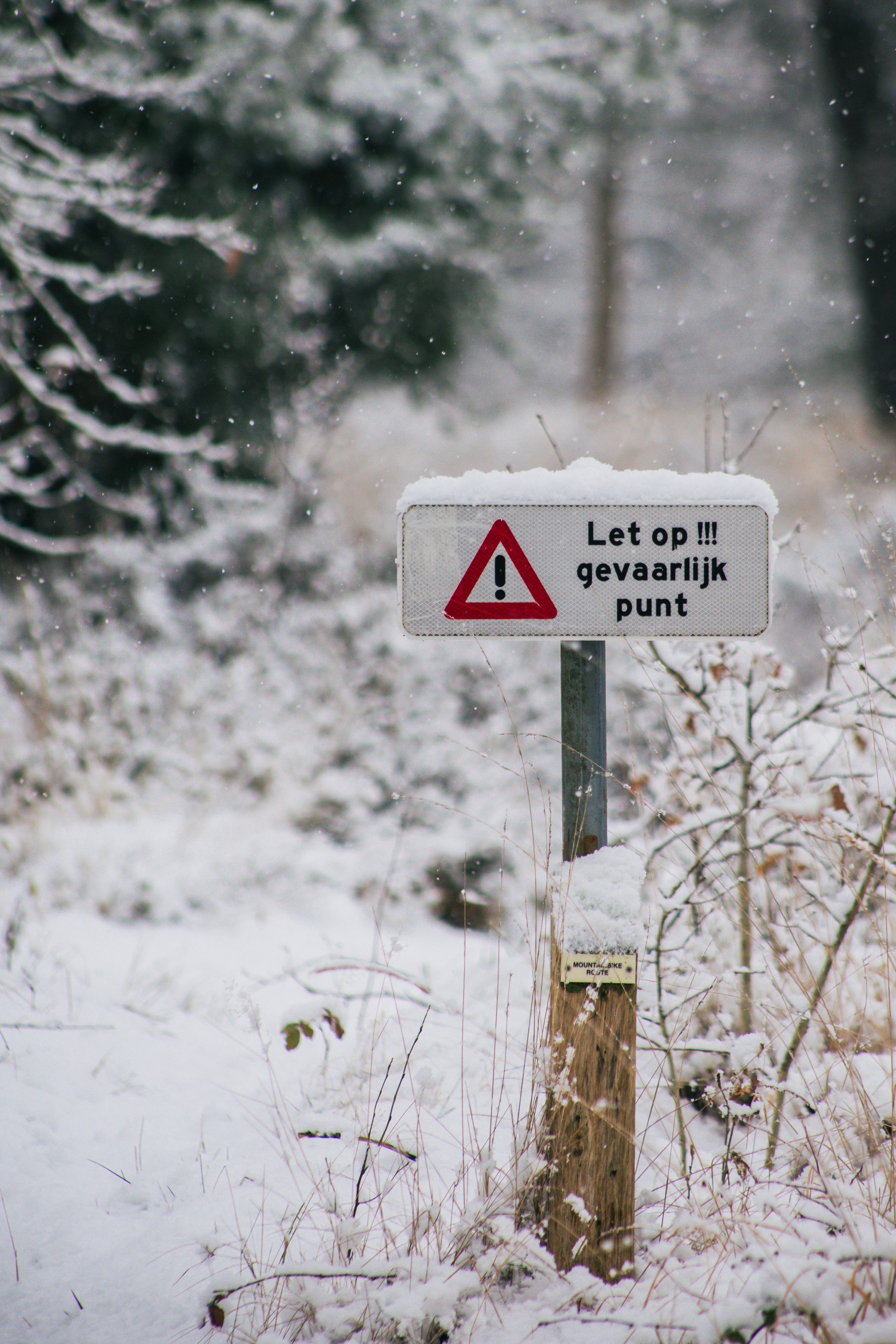 Snowbound Warning Sign in a Quiet Winter Field