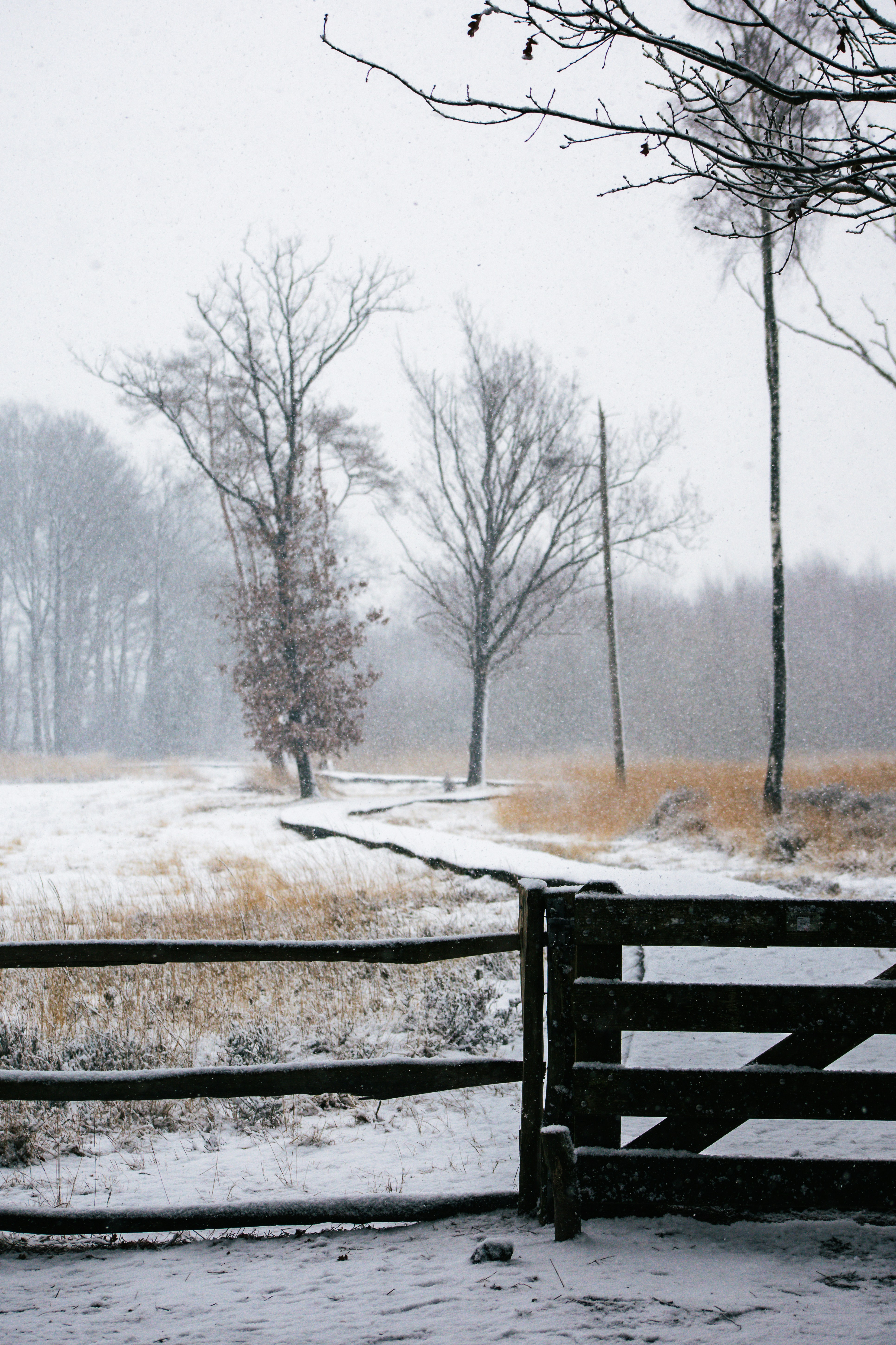 Snowlit Path Through a Quiet Winter Field