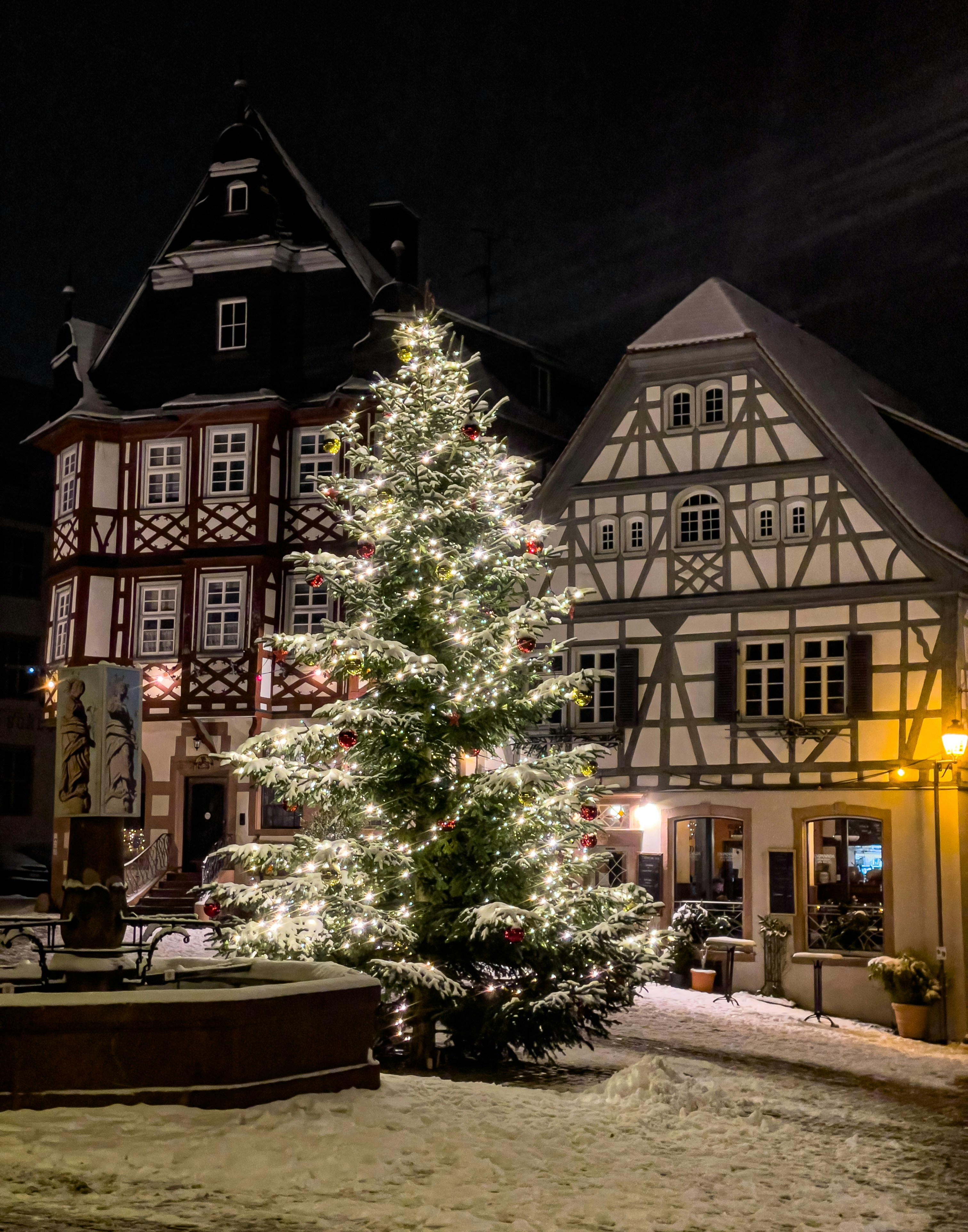 Photo by Bernd 📷 Dittrich with Apple iPhone 12 Pro