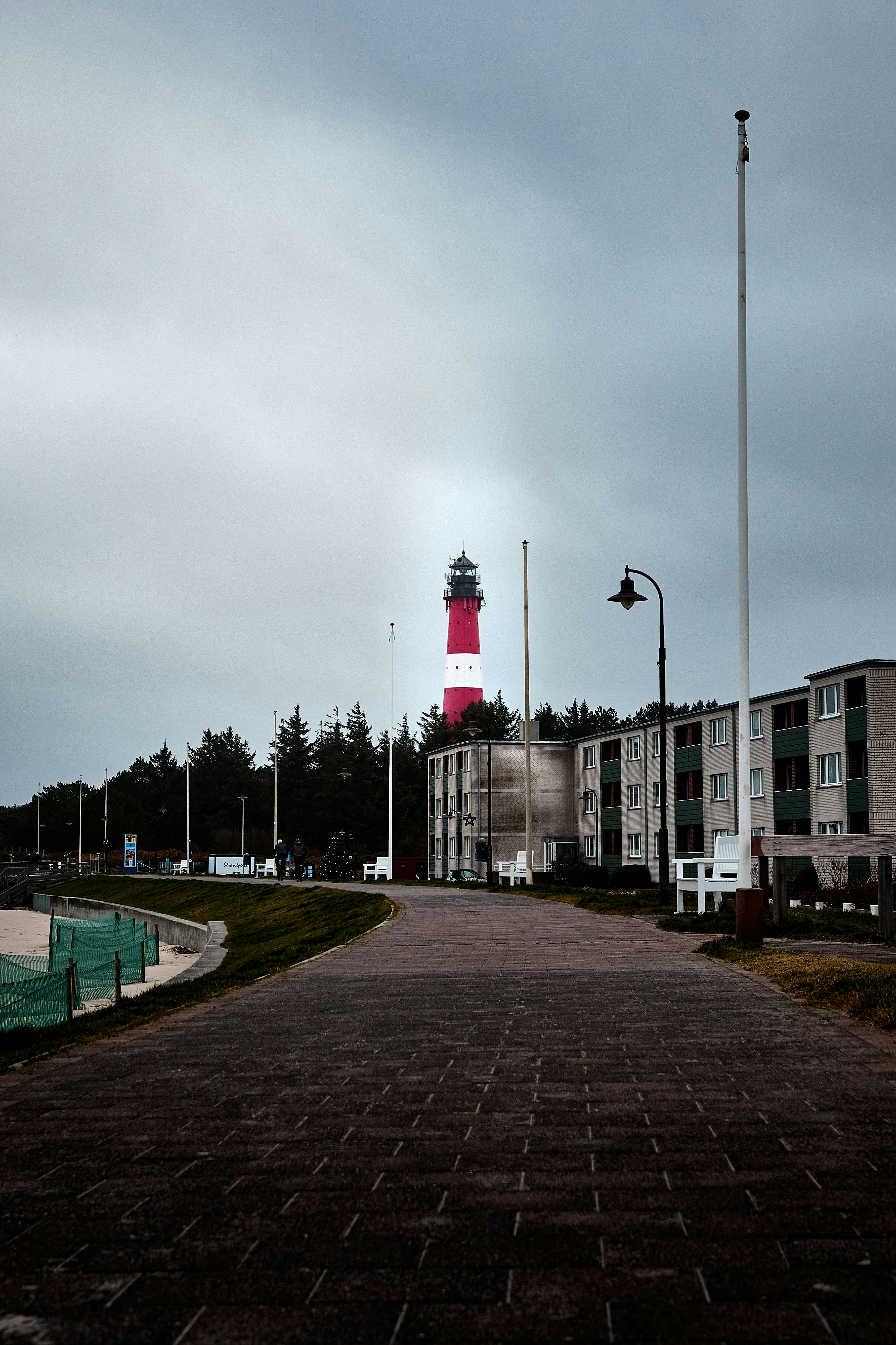 Photo by 𝕡𝕒𝕨𝕤 𝕒𝕟𝕕 𝕡𝕣𝕚𝕟𝕥𝕤 with Canon EOS 250D