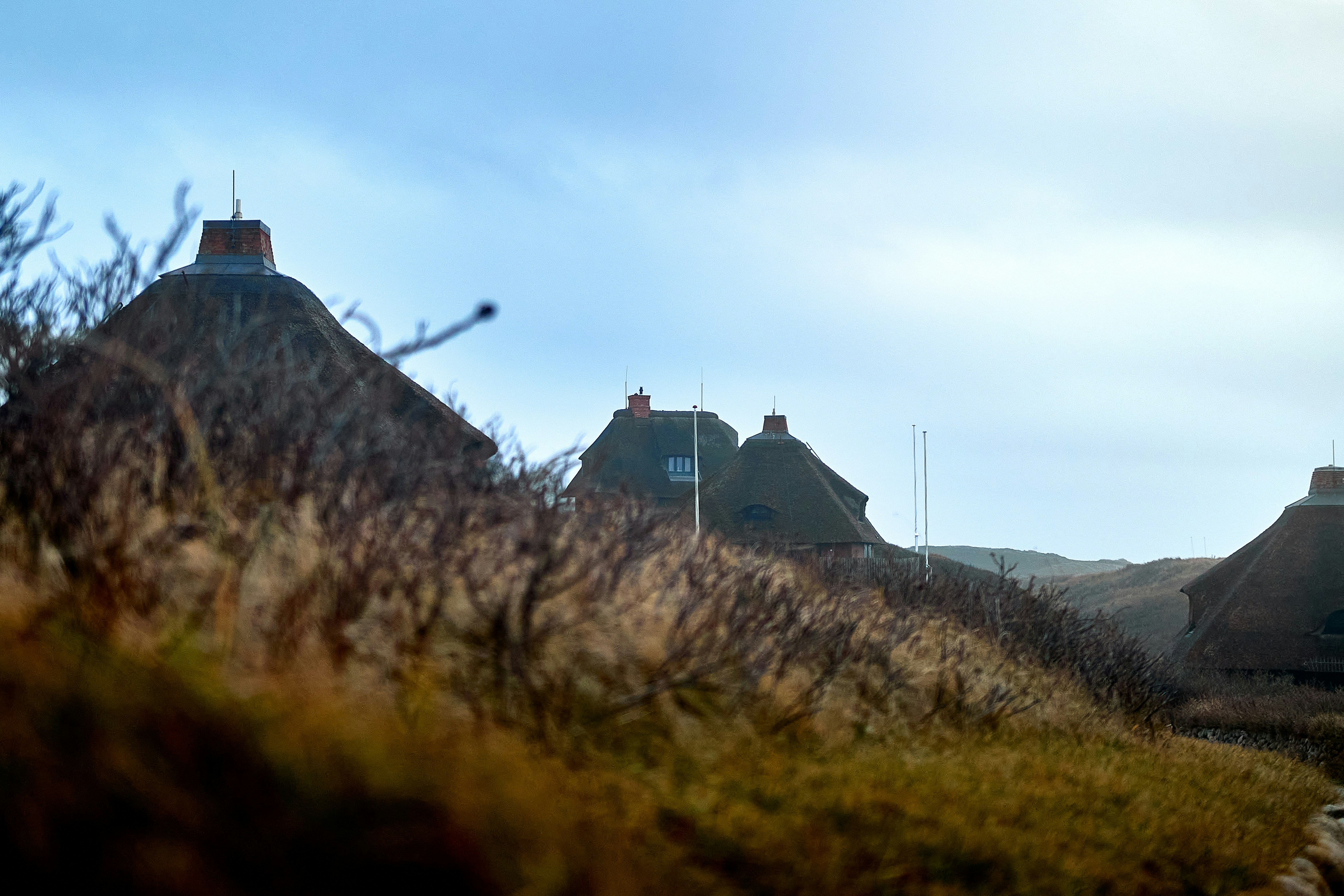 Rooftop Village Hidden by Coastal Brush