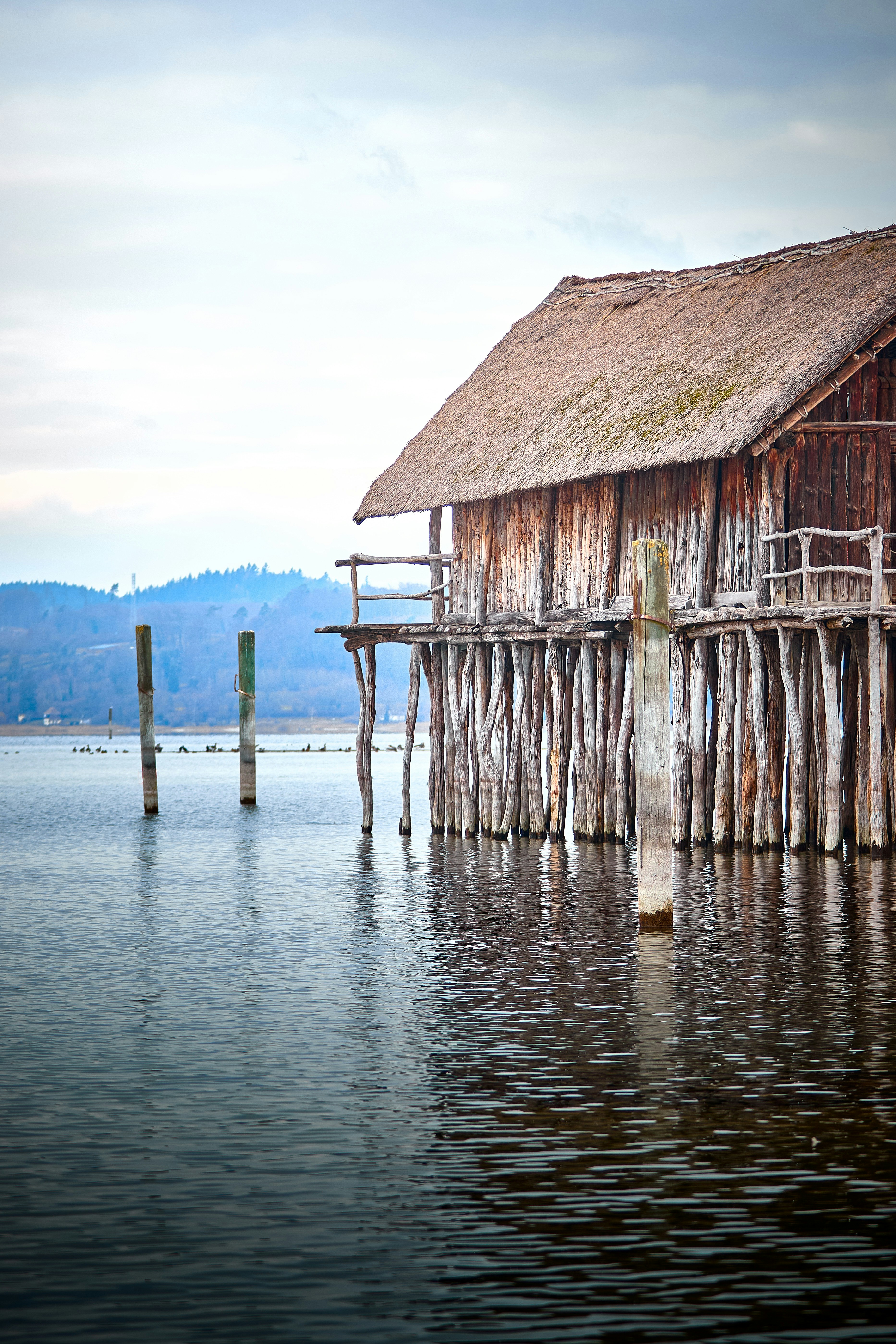 Stilted Orchard of Wood: A Lakeside Boathouse Reaches into the Calm