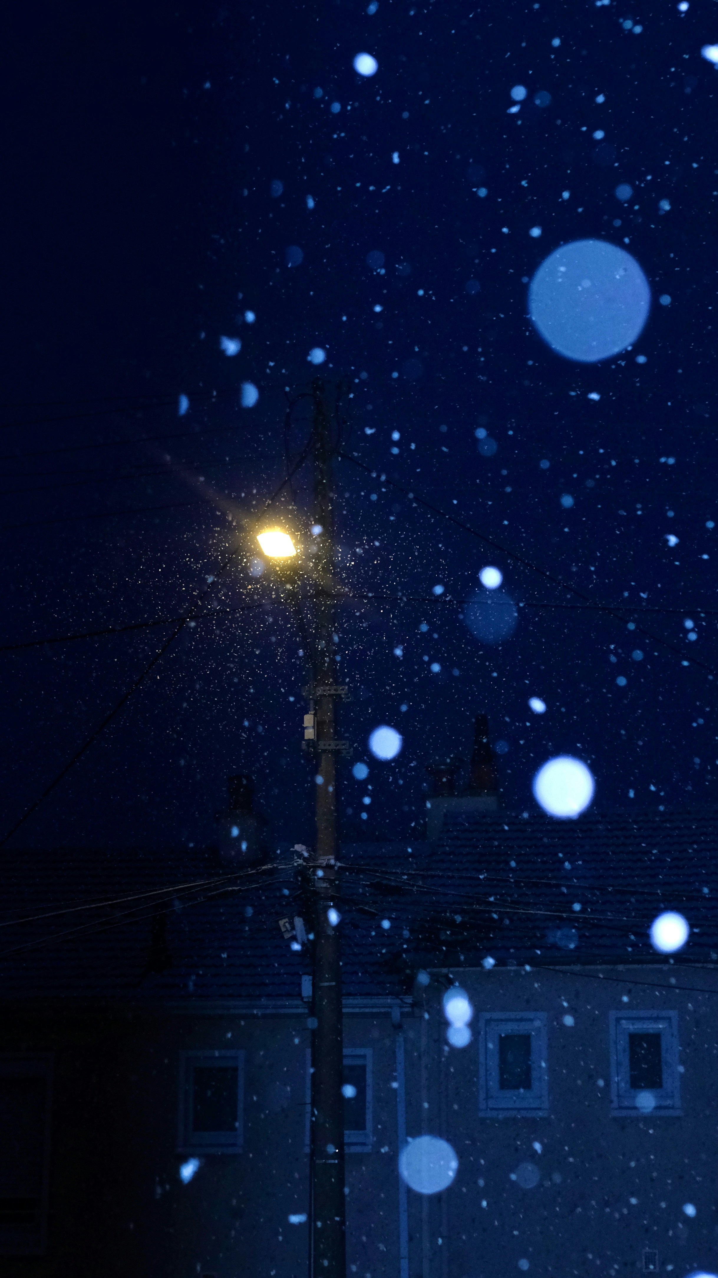 erva heron (@ehywrva) | Unsplash Photo Community