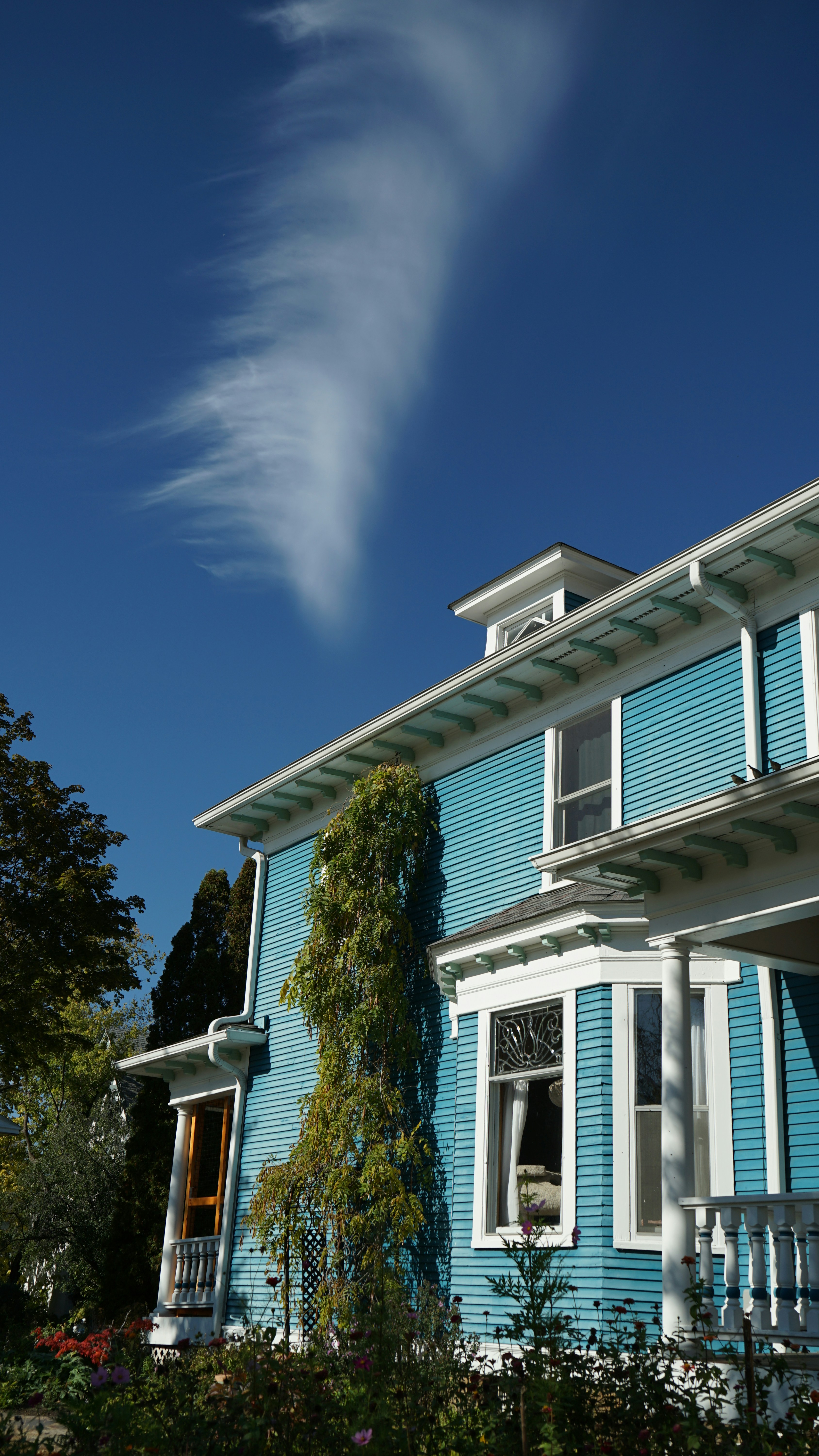 Blue Victorian Facade Reaching Toward the Sky